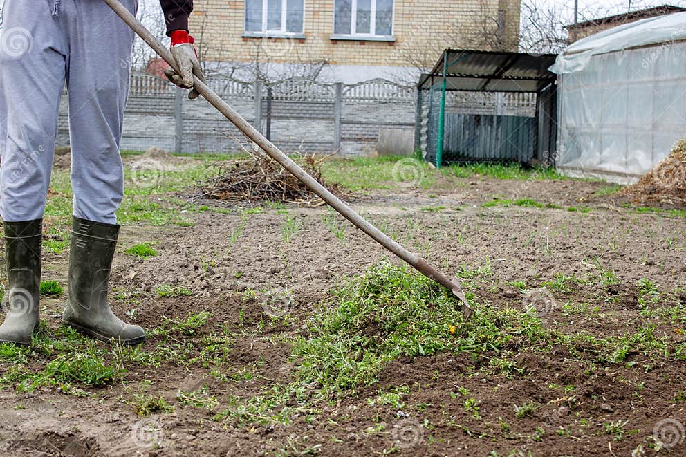 Weeding: Preparing the Soil for Planting Stock Image - Image of ...