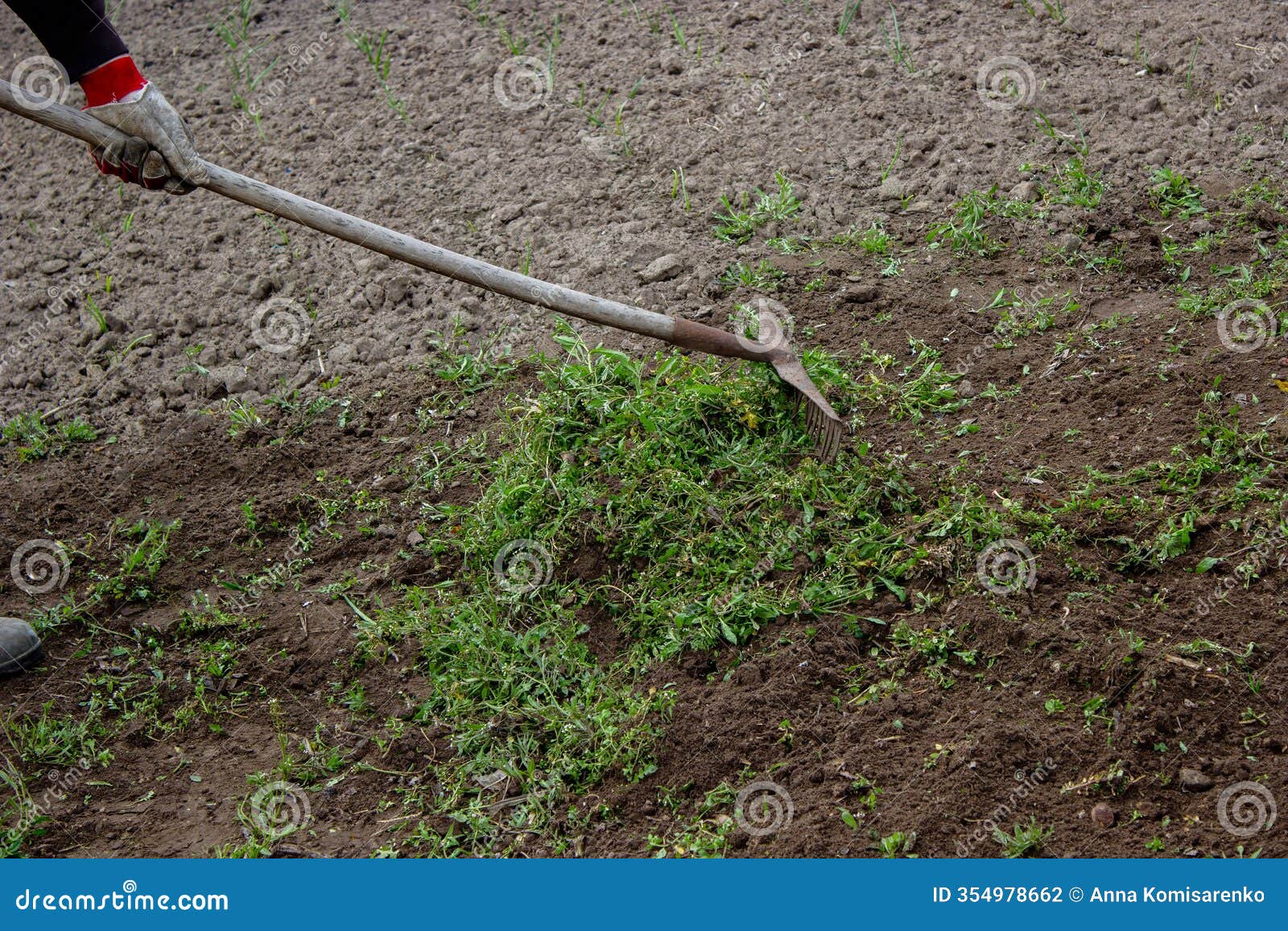 Weeding: Preparing the Soil for Planting Stock Photo - Image of nature ...