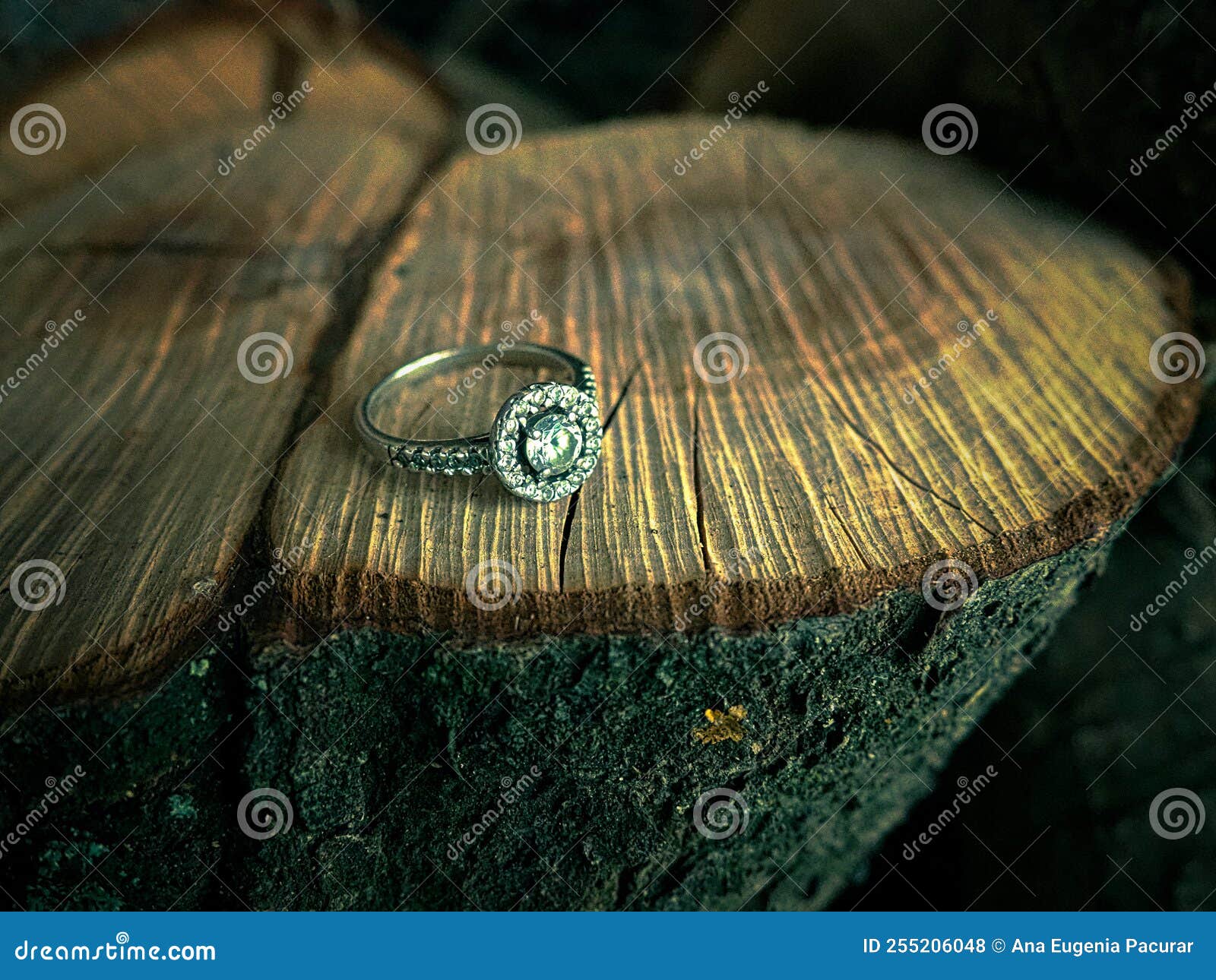 Weeding Ring Waiting for the Bride Stock Photo - Image of green, wood ...