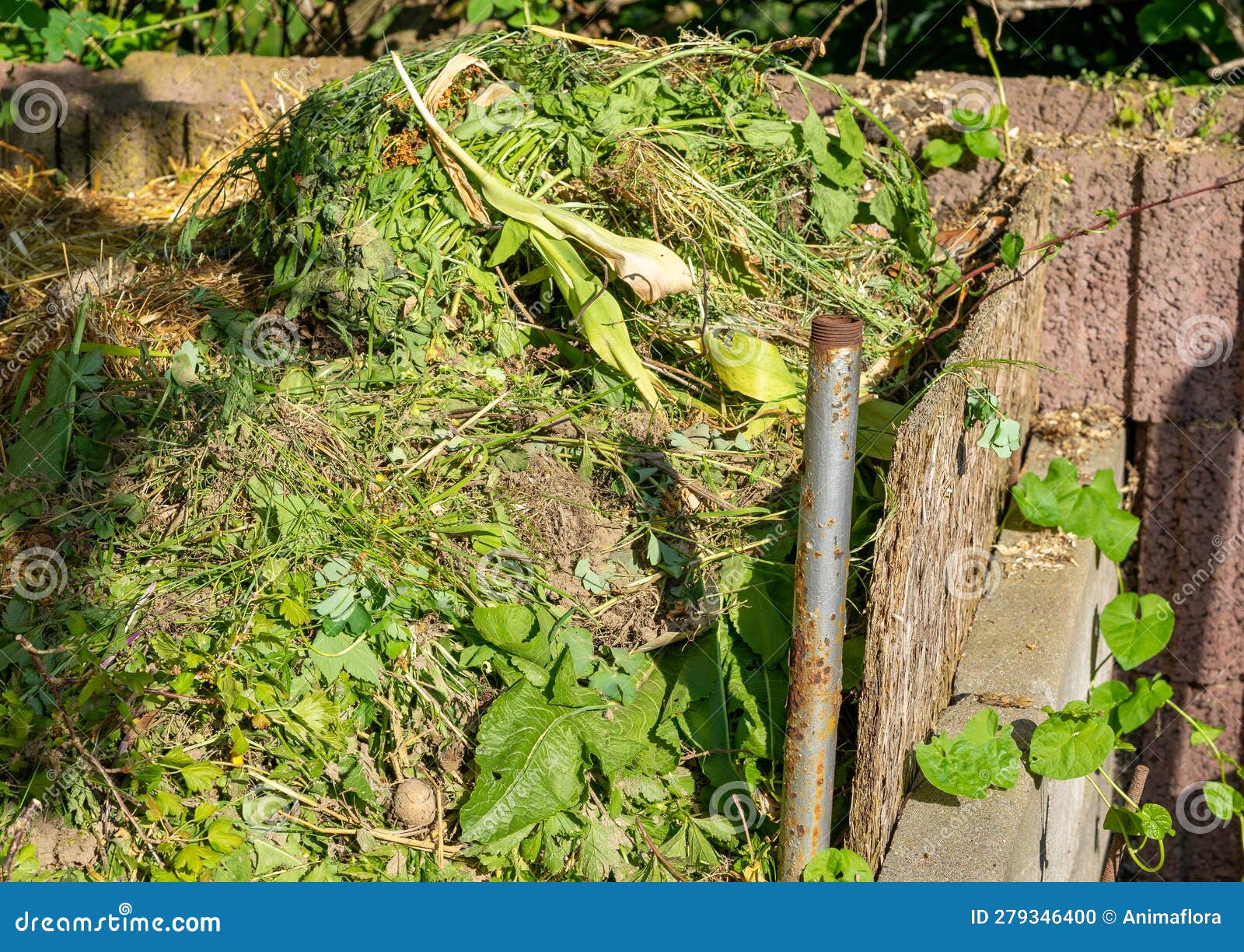 Weeds and Garden Waste on the Compost Stock Photo - Image of trees ...