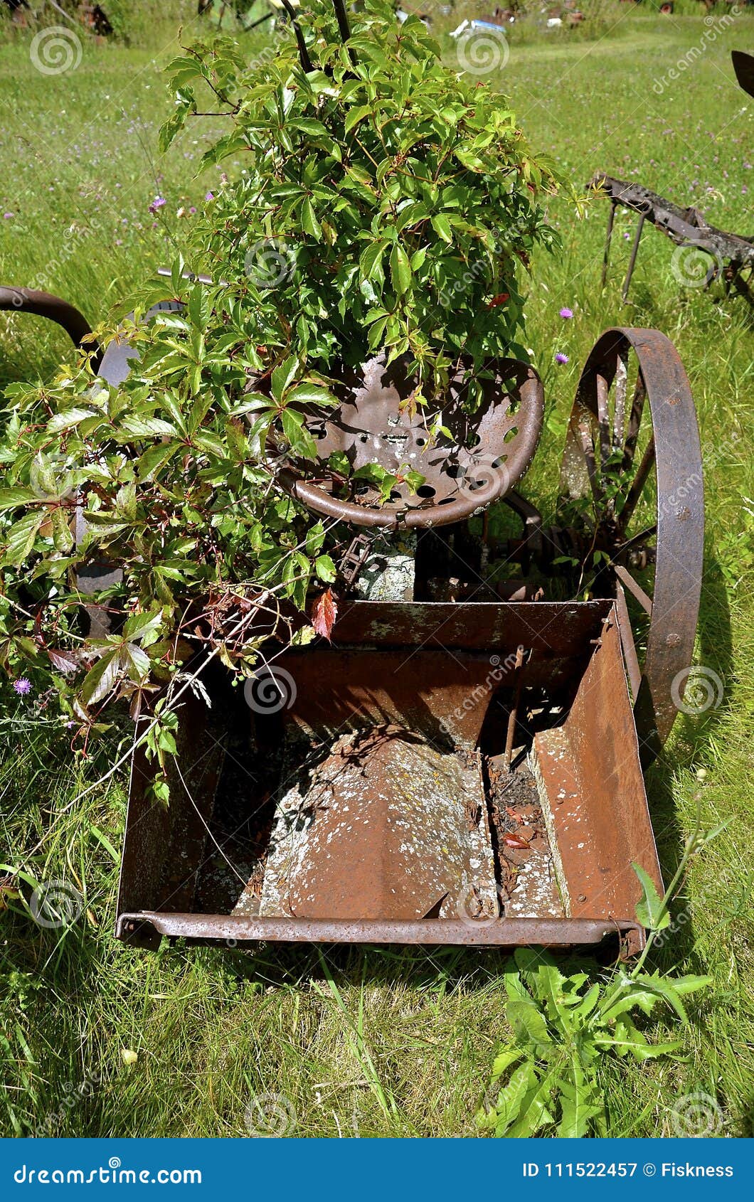 Old Potato Planter Surrounded by Weeds Stock Image - Image of farmer ...