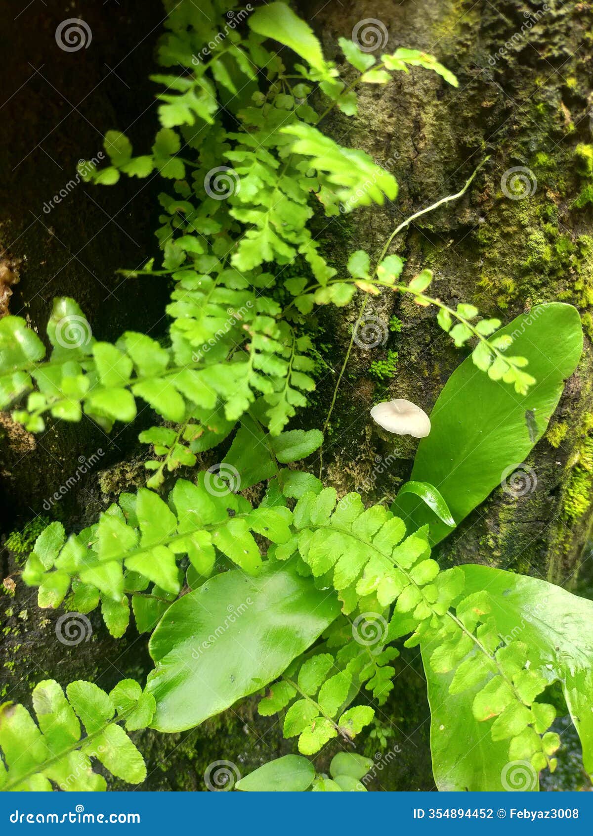Weeds Growing Around the Tree Trunks Stock Photo - Image of growing ...