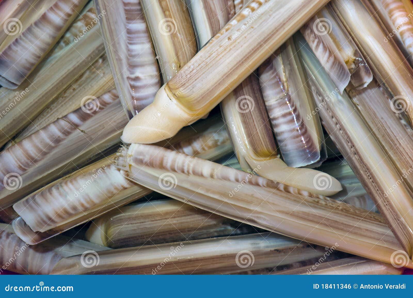 Weekdier stock foto. Image of maaltijd, klokken, dier - 18411346