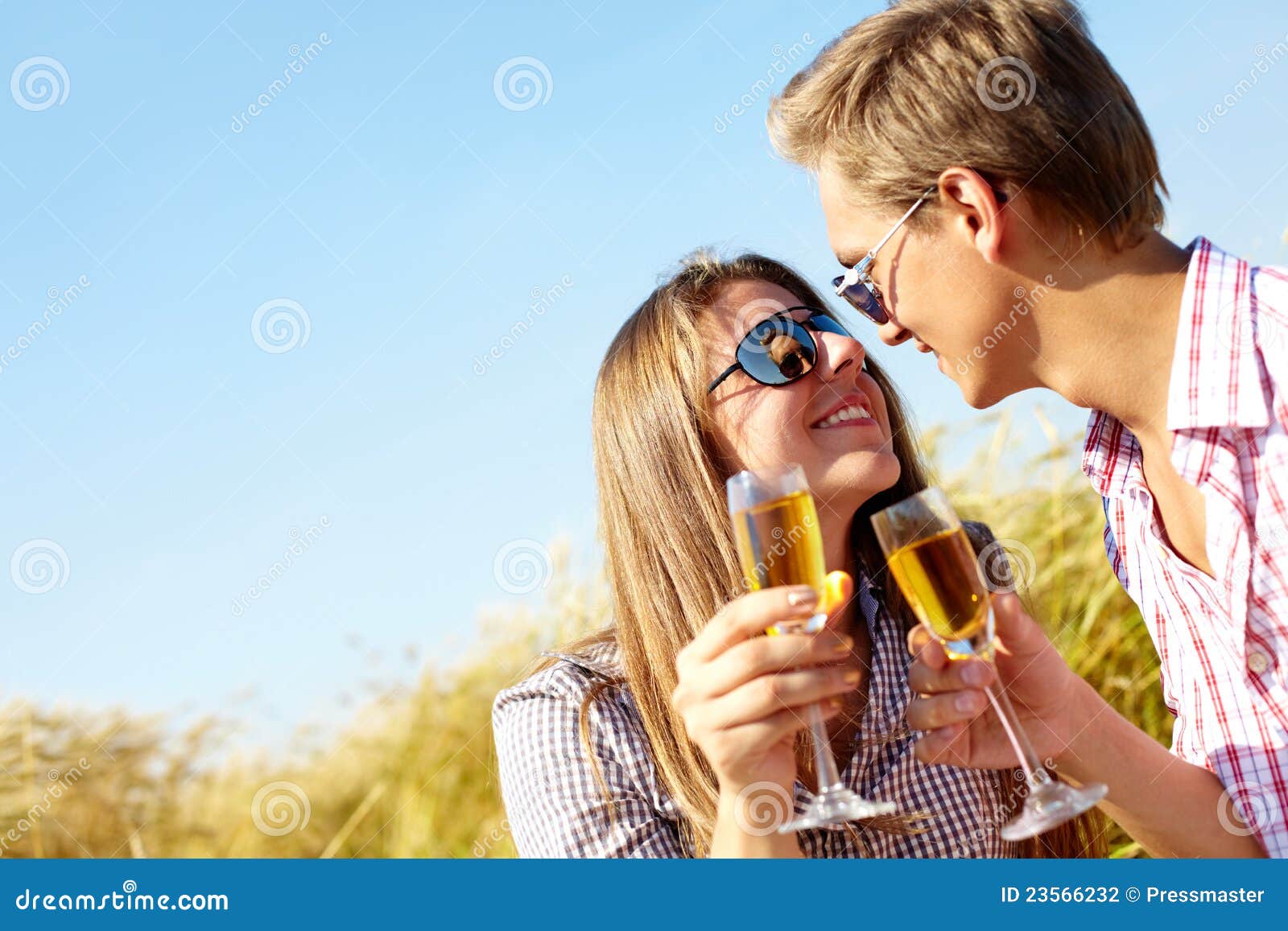 Weekend in the country stock photo. Image of champagne - 23566232