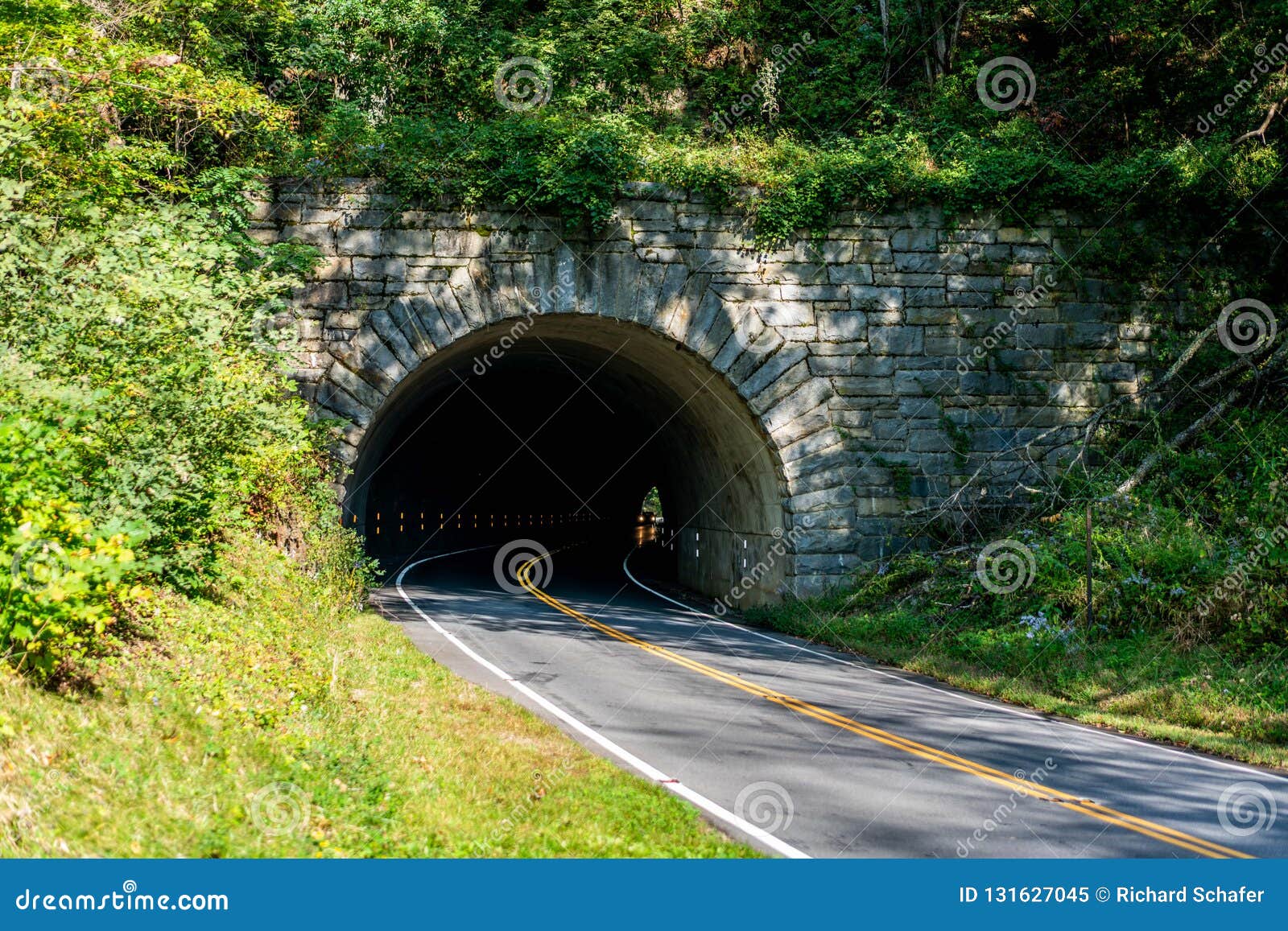 A Weekend Drive on the Parkway Stock Image - Image of trees, drive ...