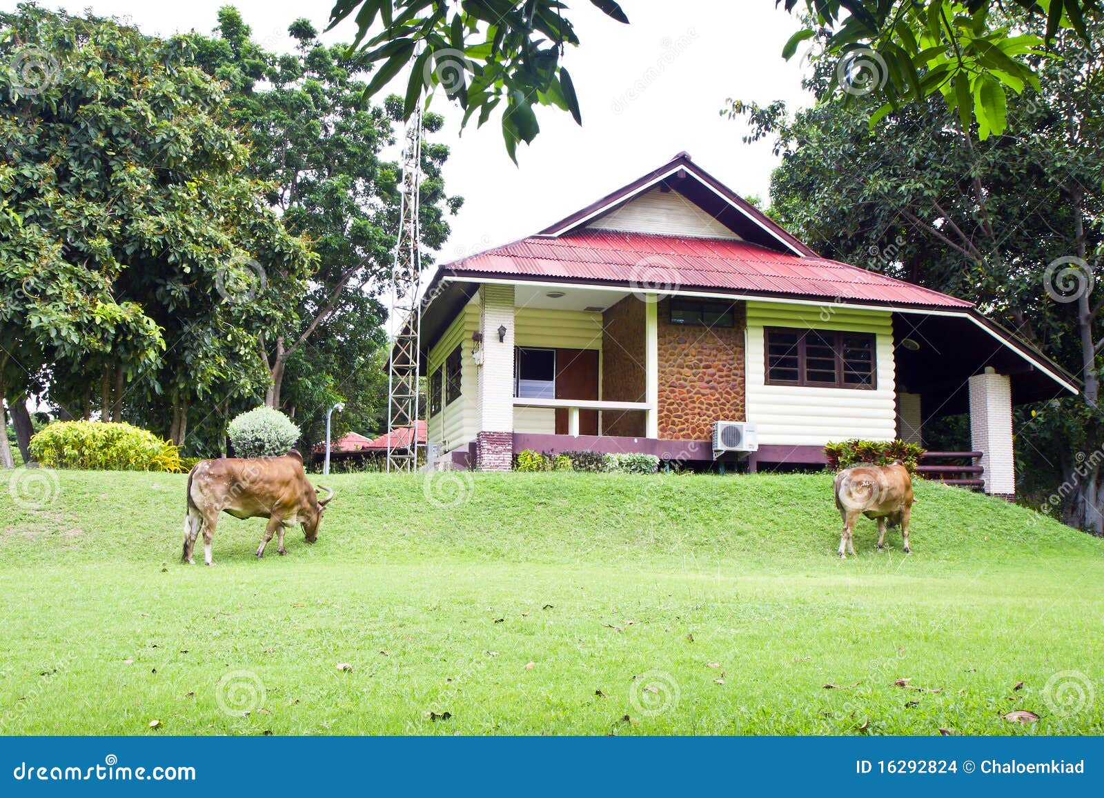Weekend house stock photo. Image of wood, mountain, comfortable - 16292824
