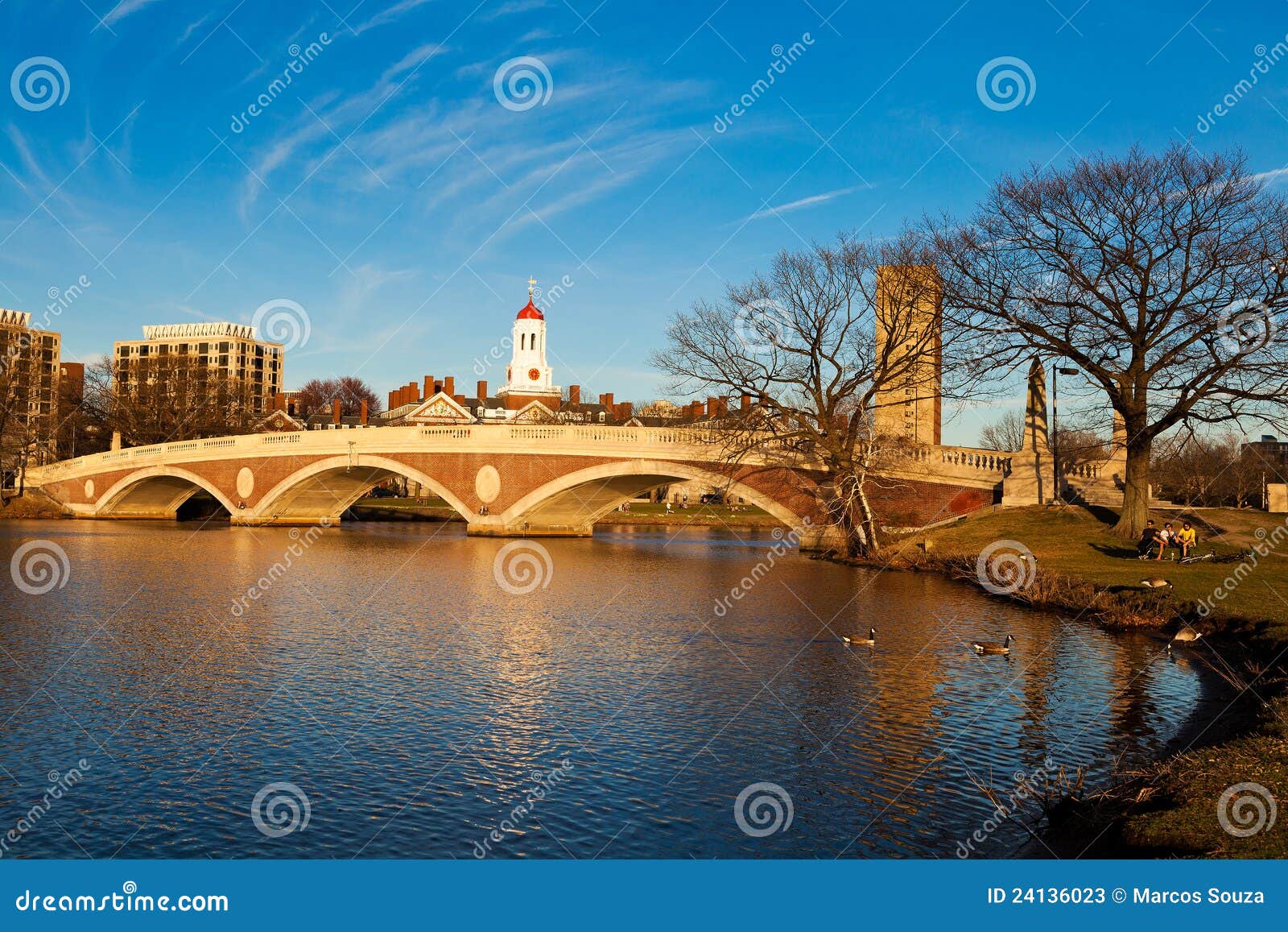 Weeks Memorial Footbridge editorial stock photo. Image of travel - 24136023