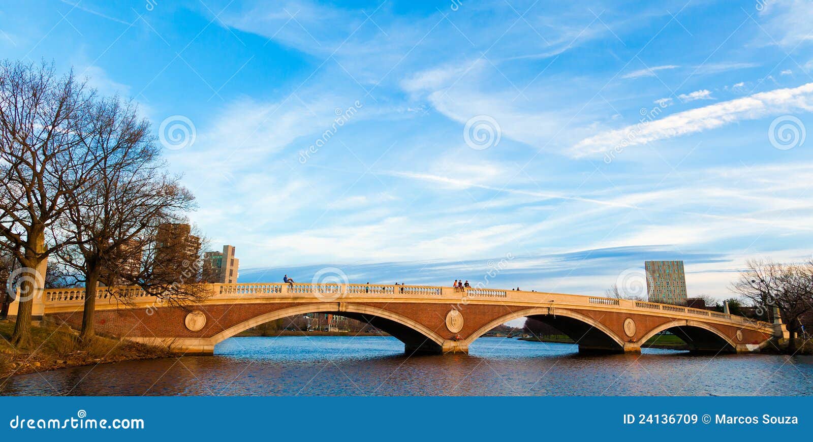 Weeks Memorial Footbridge editorial stock image. Image of modern - 24136709
