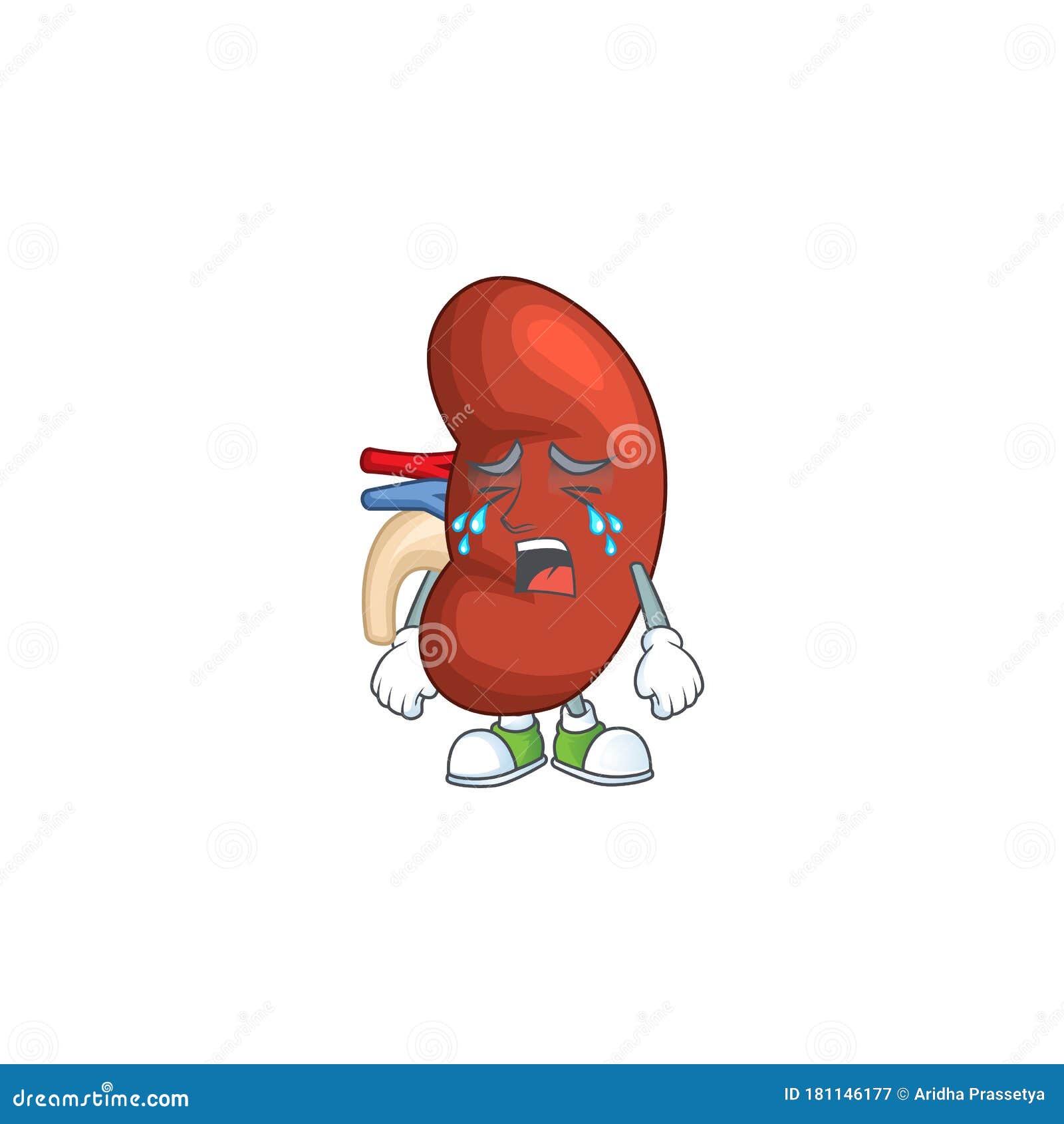 Kidney Cartoon Stones Disease Vector Infographic. Urinary Renal Kidnay ...