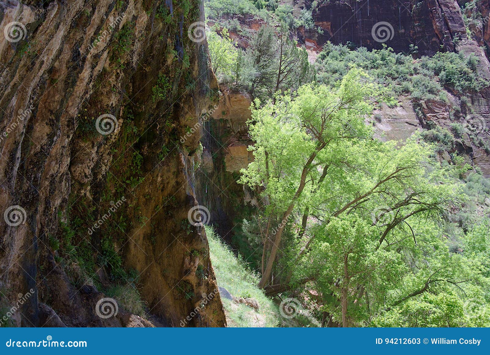 Weeping Rock Trail a stock image. Image of stone, national - 94212603