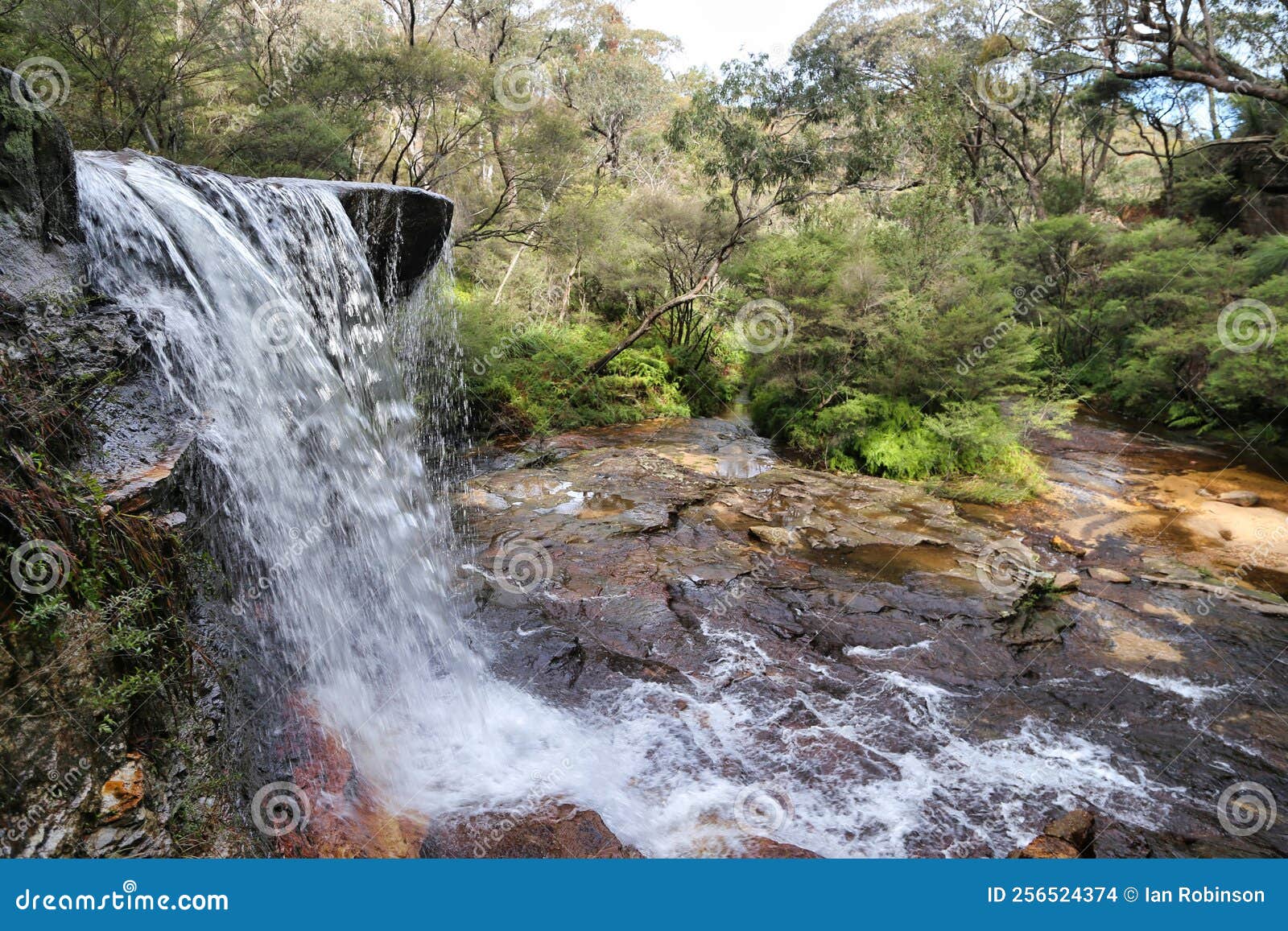 Weeping Rock stock photo. Image of waterfall, darwin - 256524374