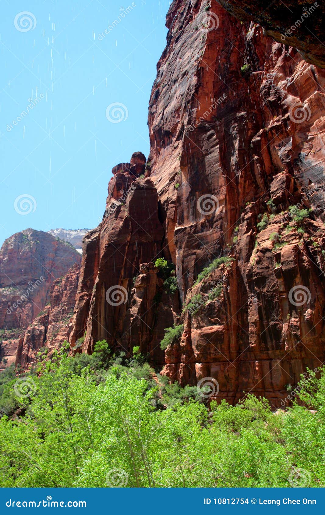 Weeping Rock, Zion National Park, USA Stock Photo - Image of landscape ...