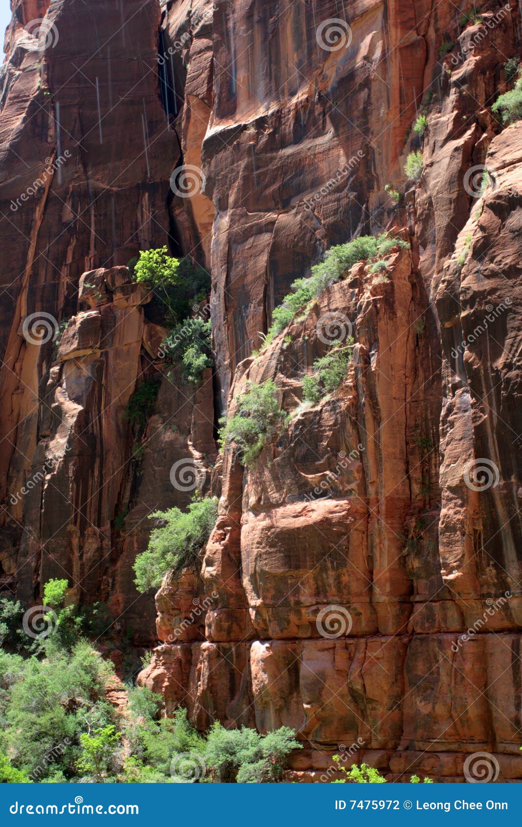 Weeping Rock, Zion National Park, USA Stock Photo - Image of mountain ...