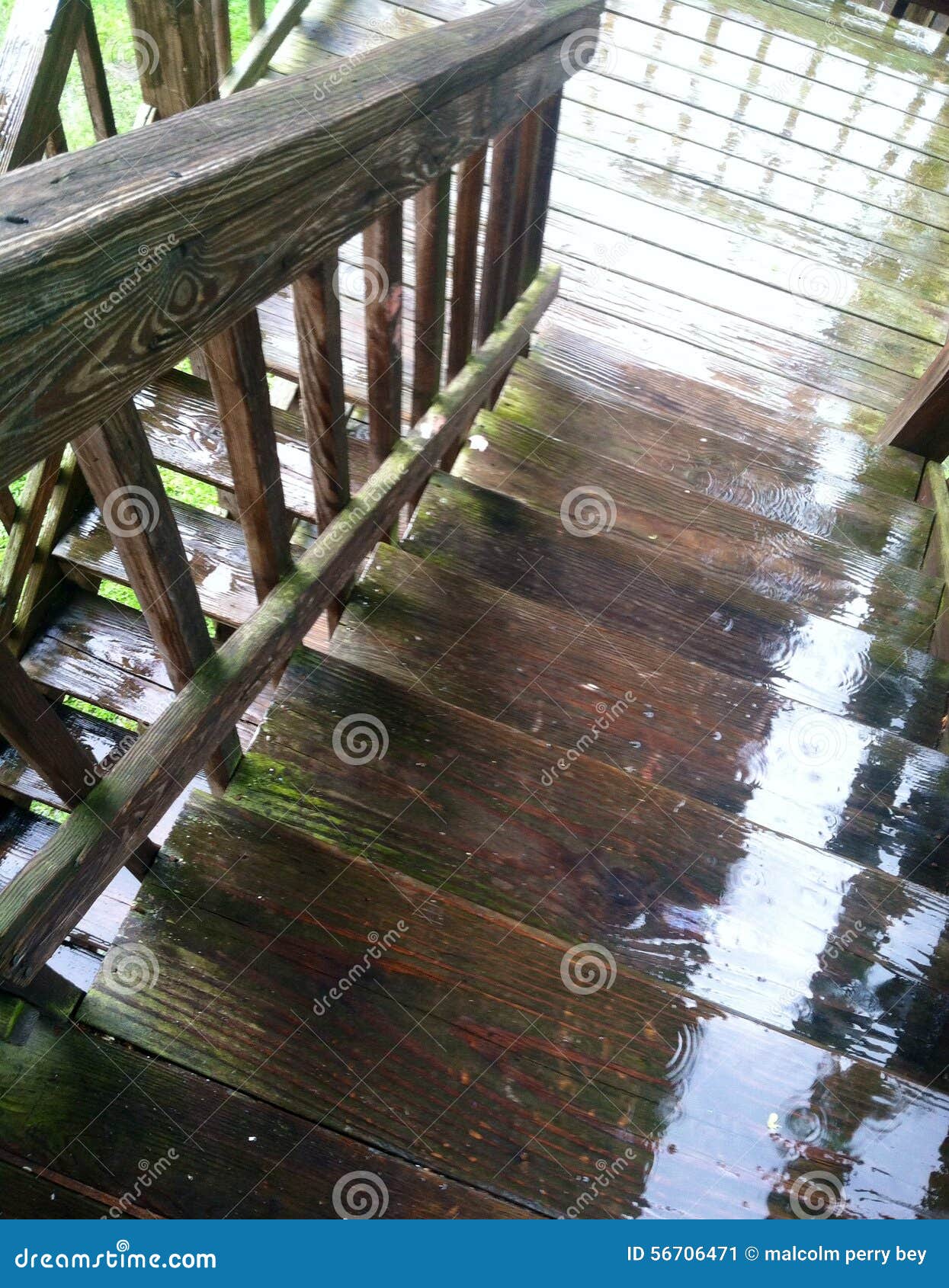Weeping steps stock image. Image of steps, weeping, stairs - 56706471