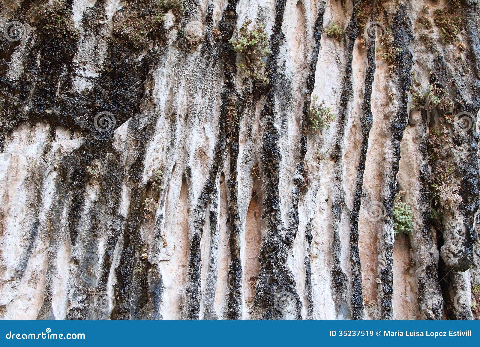 Weeping wall stock image. Image of lines, wall, texture - 35237519