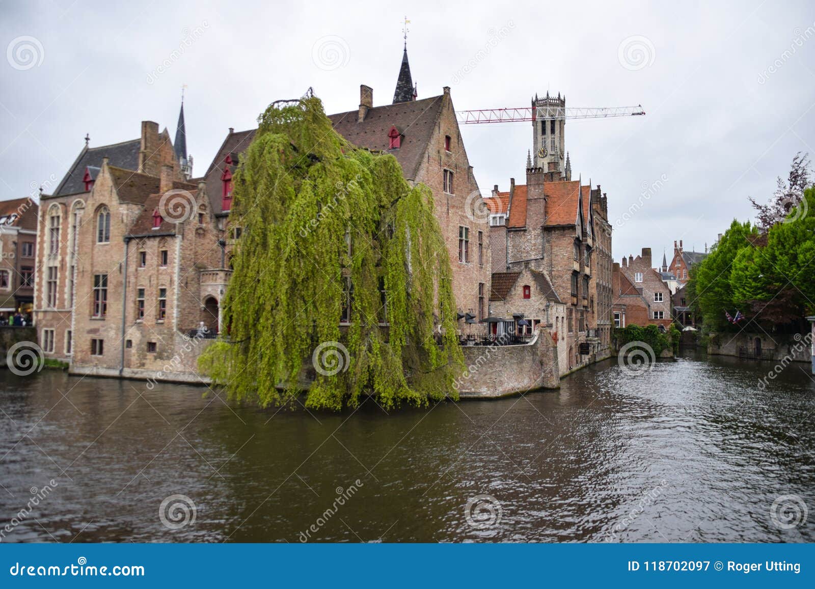 Weeping Willow corner stock image. Image of belgique - 118702097