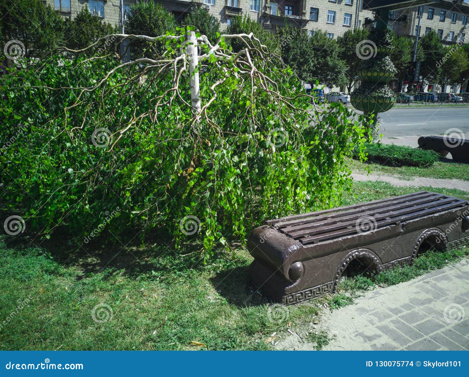 144-Weeping Willow stock photo. Image of beauty, scenic - 130075774