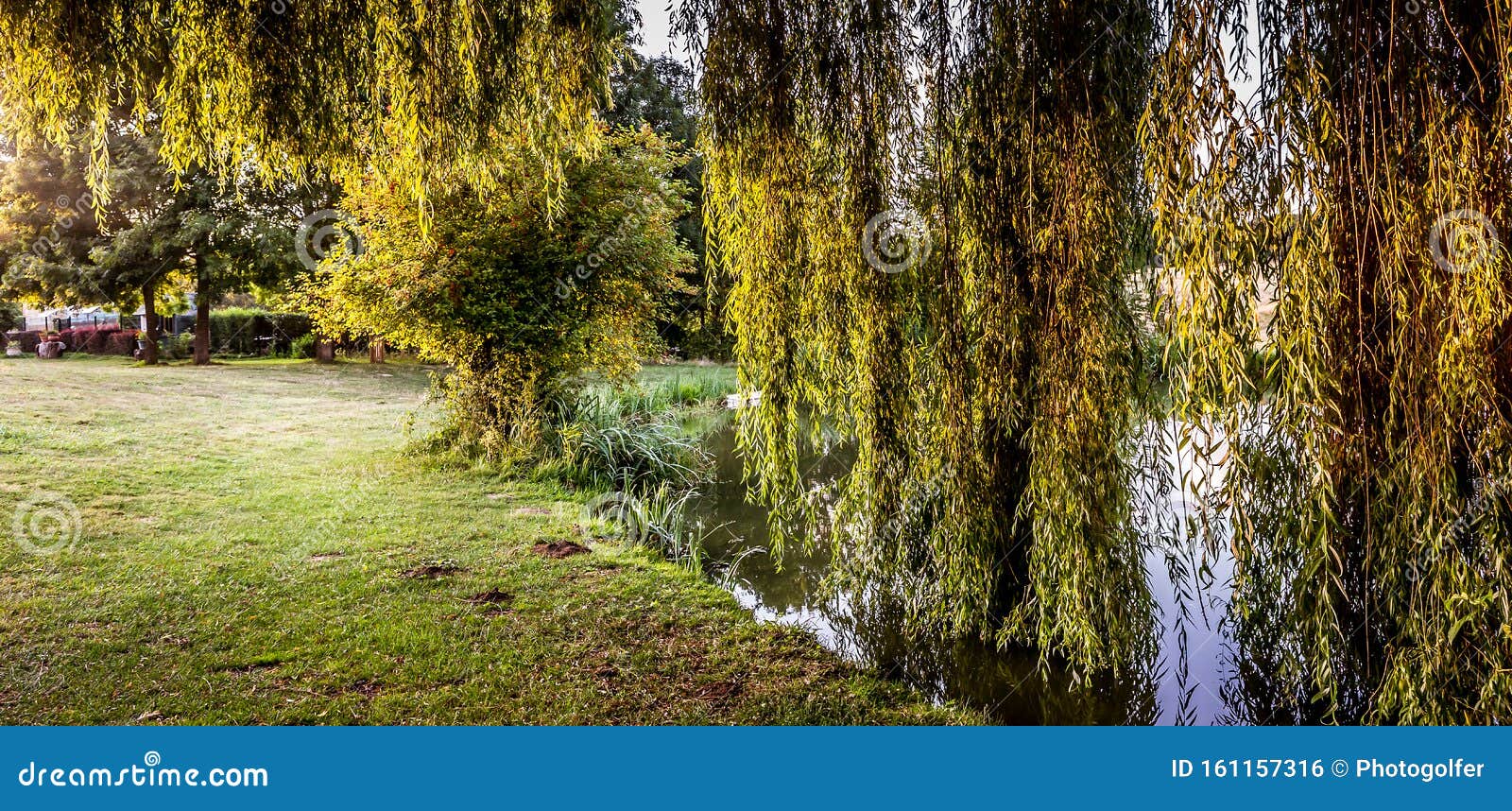 Weeping Willow on a Pond, France Stock Photo - Image of lake, santeny ...