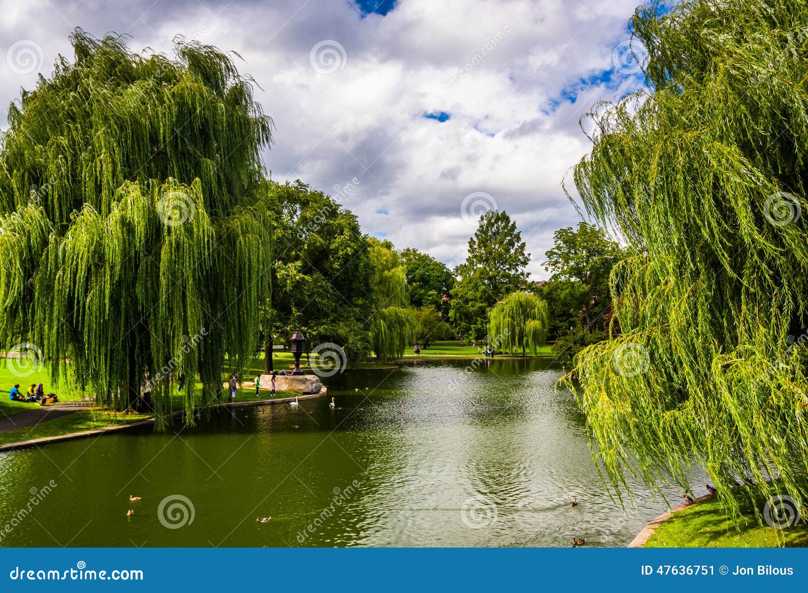 Weeping Willow Trees and a Pond in the Boston Public Garden. Stock ...