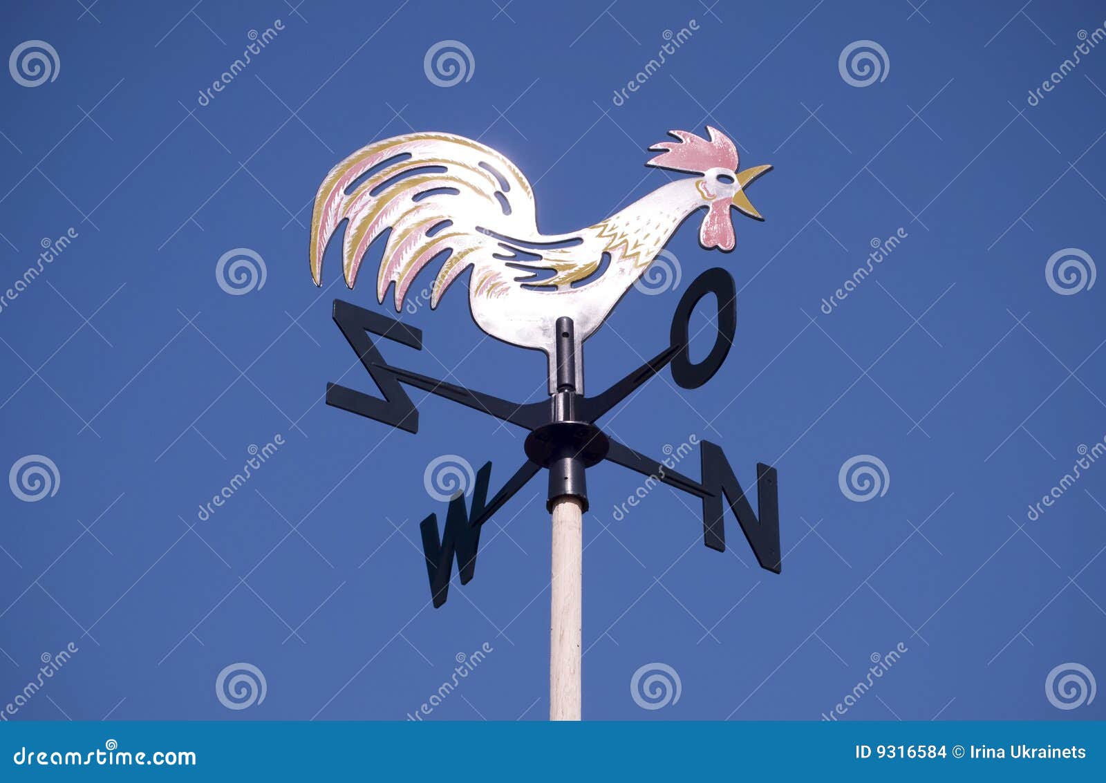 Weerhaan stock foto. Image of vlucht, hoek, decoratie - 9316584