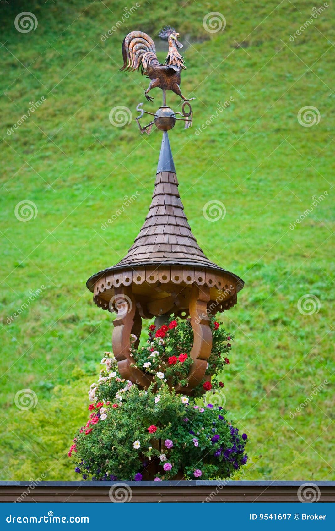 Weerhaan stock afbeelding. Image of idyllisch, traditioneel - 9541697