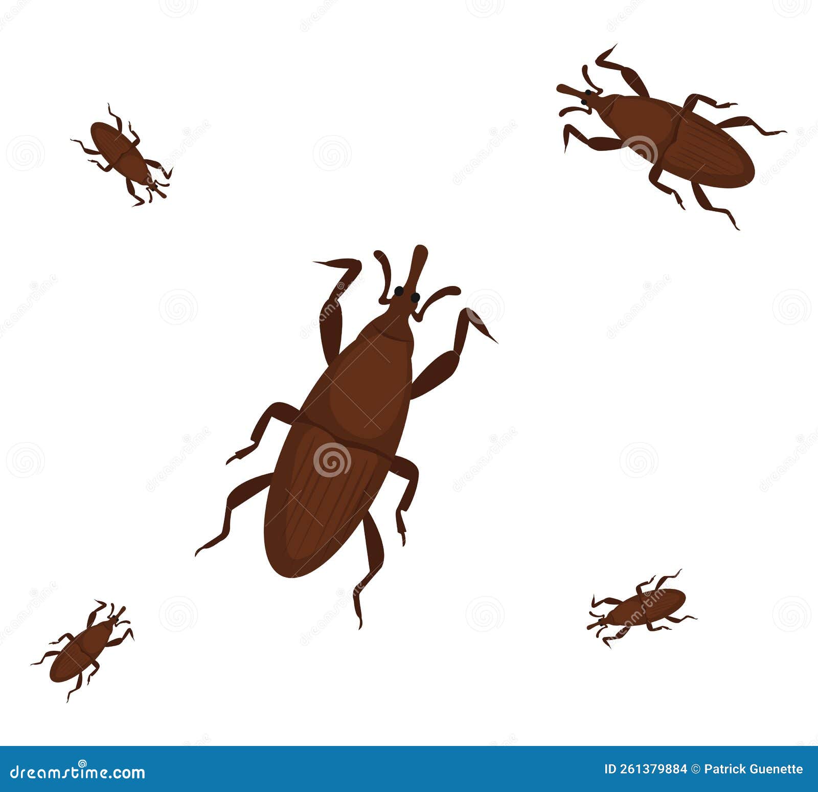 Weevil bug, icon stock vector. Illustration of natural - 261379884