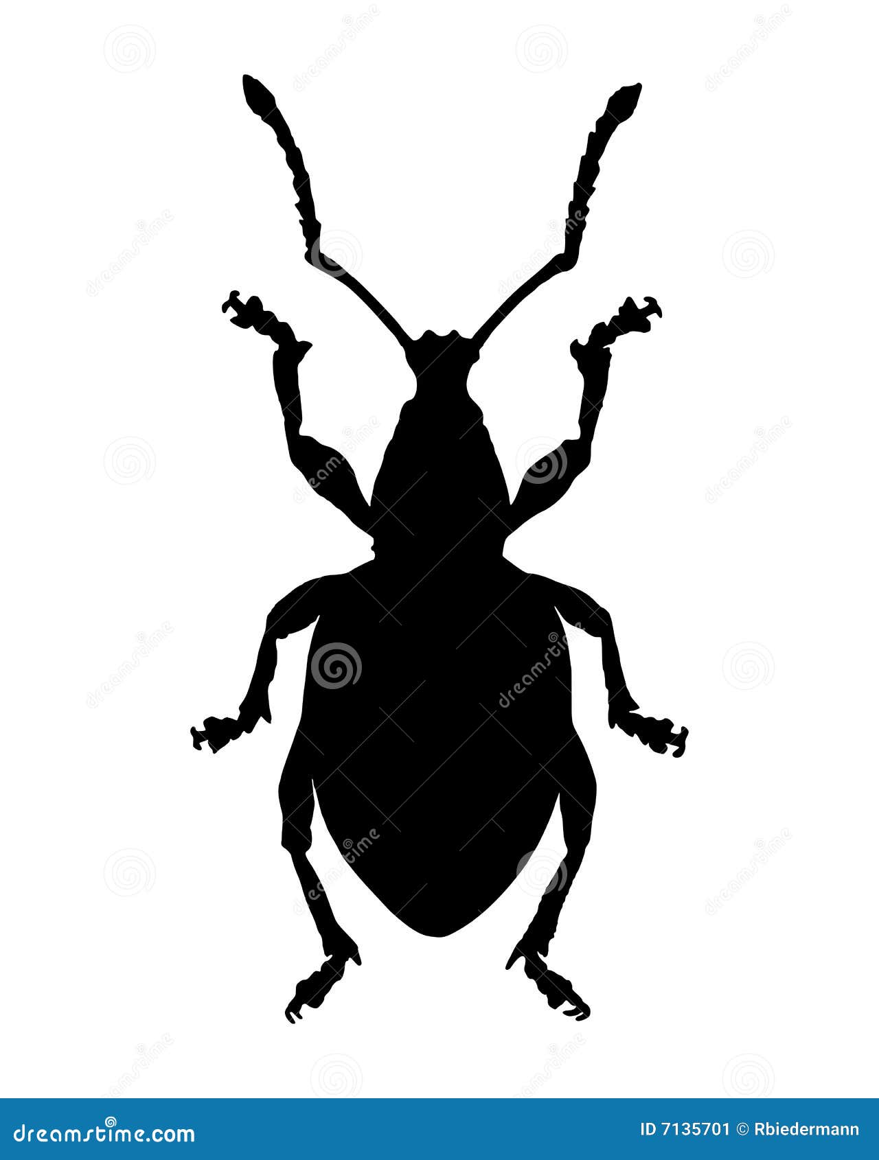 Weevil Cartoons, Illustrations & Vector Stock Images - 860 Pictures to ...