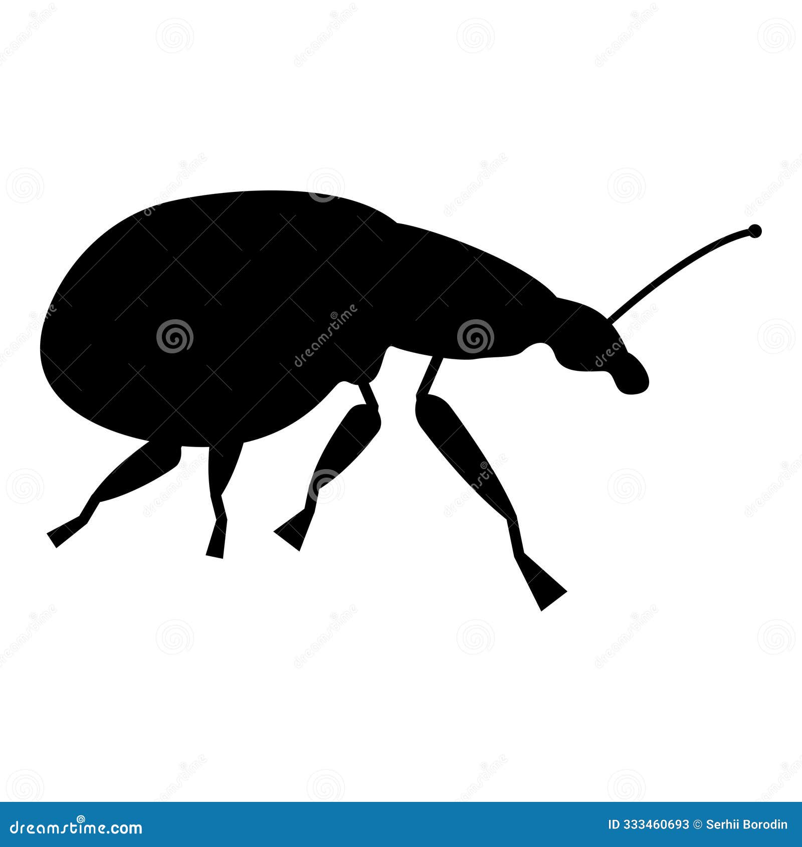 Weevil Illustration, Drawing, Engraving, Ink, Line Art, Vector ...