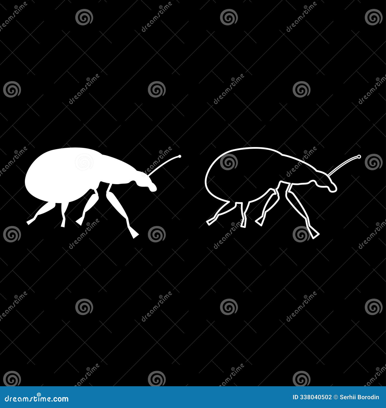 Weevil Insect Pest Set Icon White Color Vector Illustration Image Solid ...