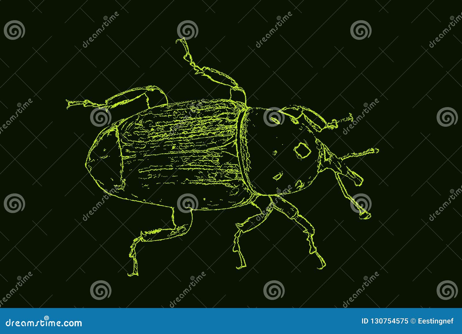 Weevil. Isolated on Dark Background. Vector Illustration Stock Vector ...