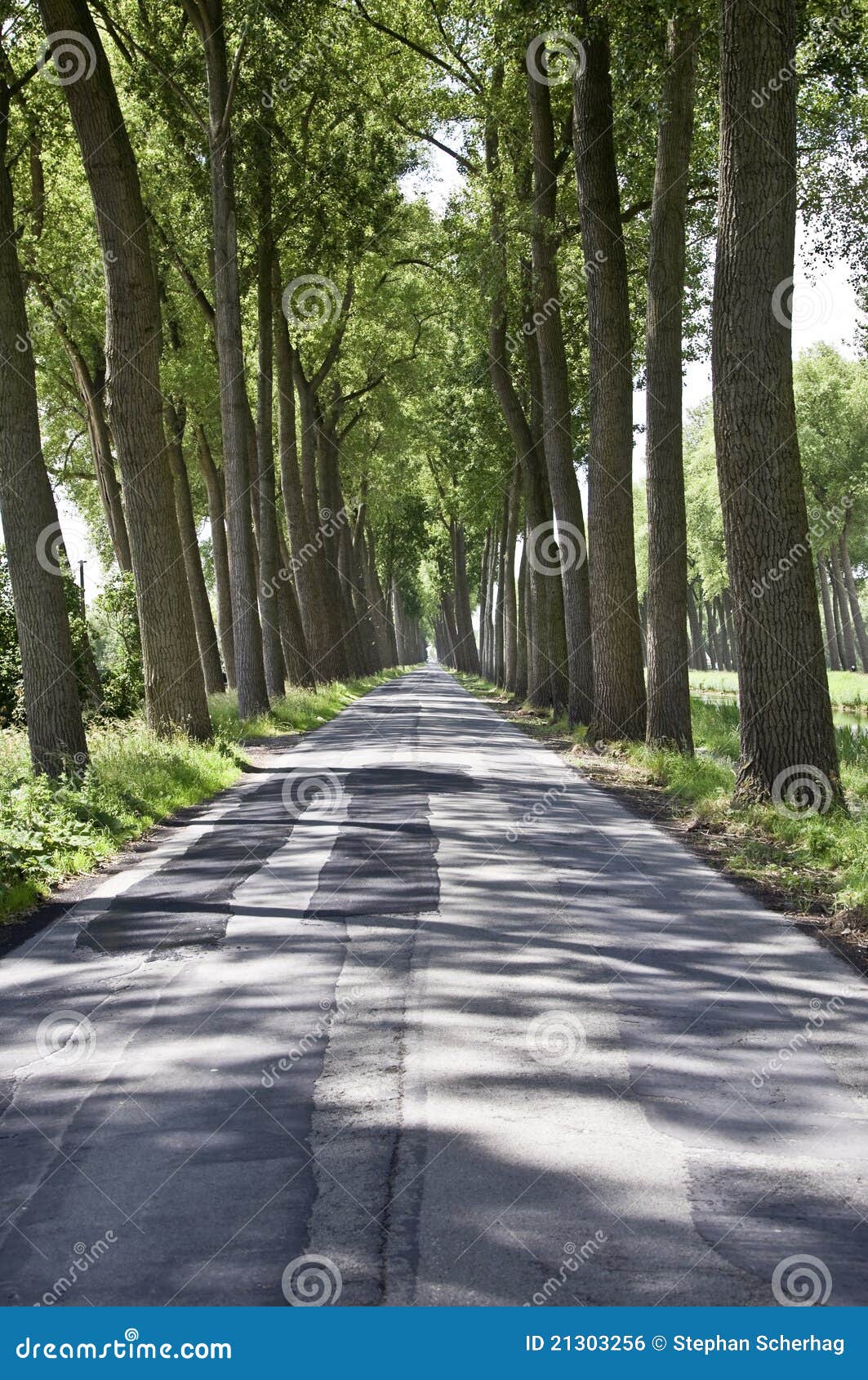 Weg, België stock foto. Image of kanaal, vlaanderen, dynamisch - 21303256