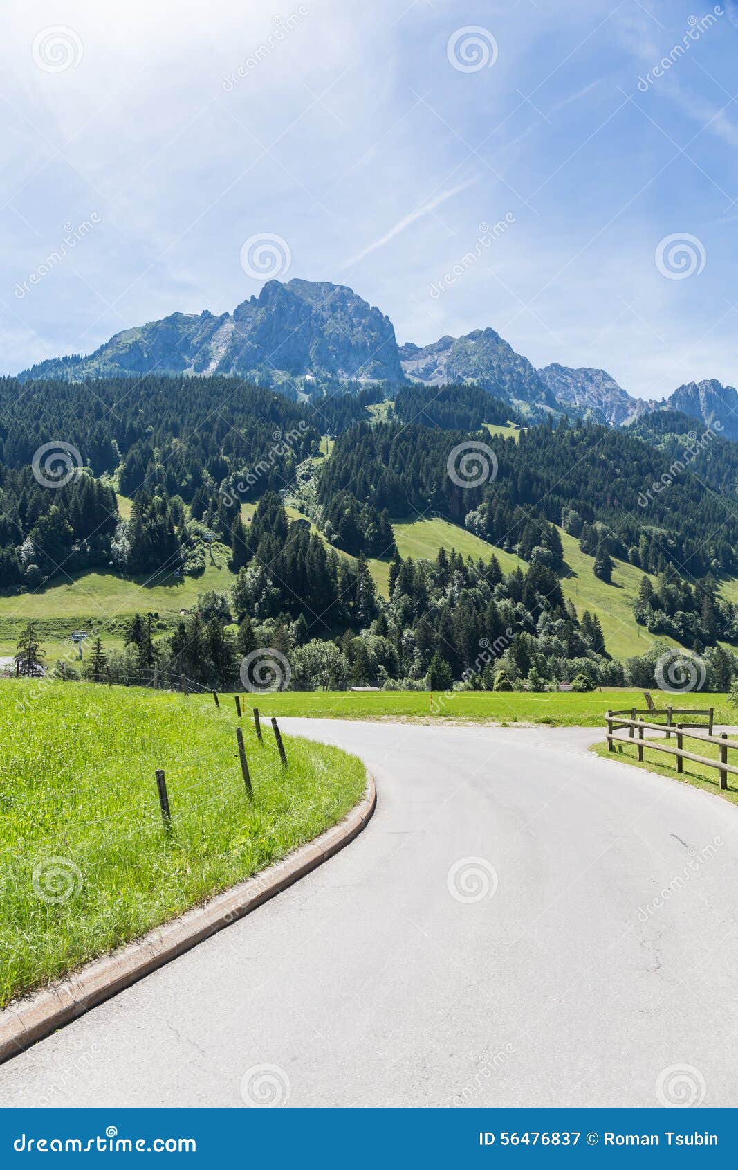 Weg in De Alpen, Zwitserland Stock Afbeelding - Image of kalf ...