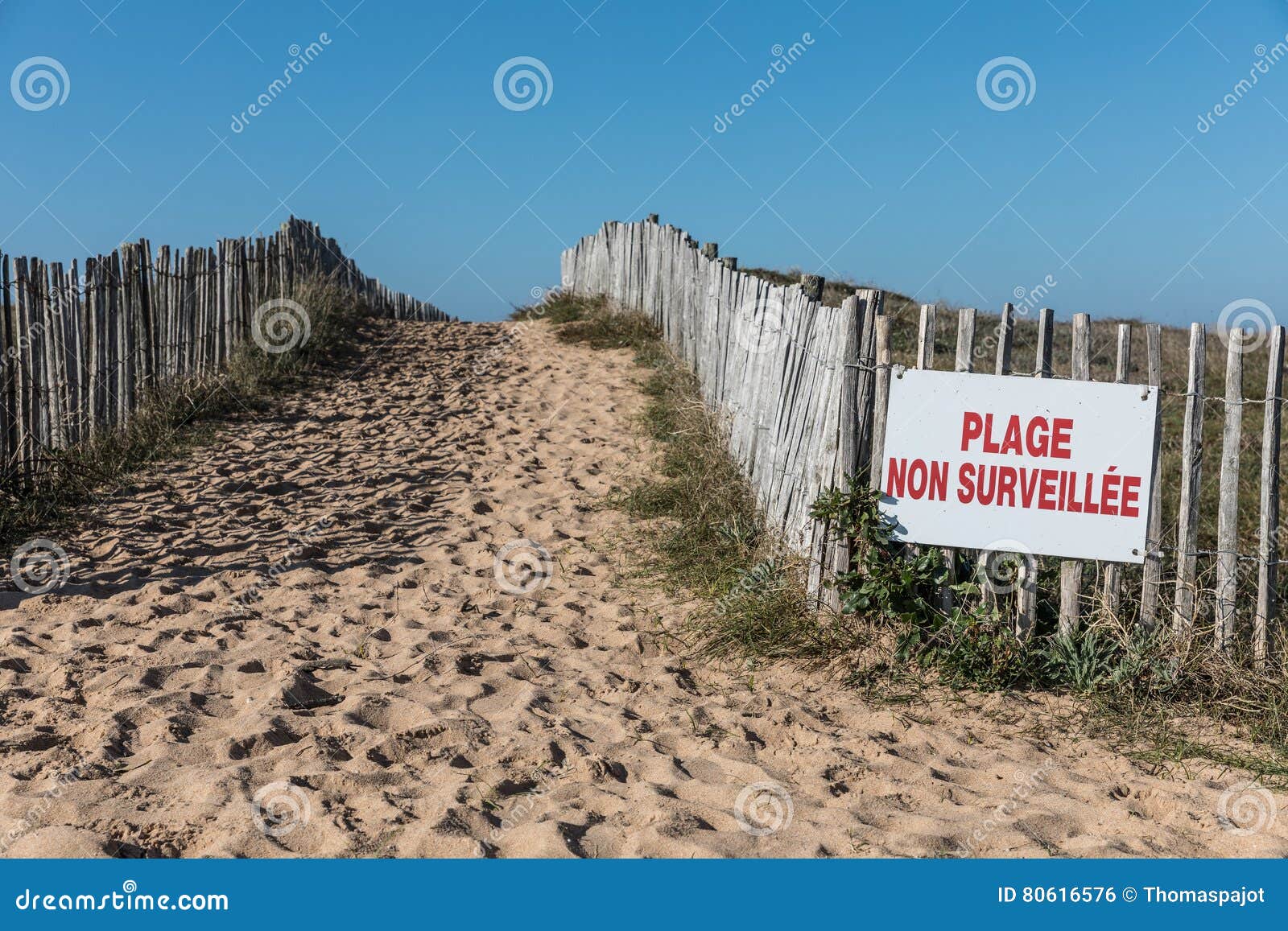 Weg in De Duinen Naar Het Strand Stock Foto - Image of vuurtoren, kust ...