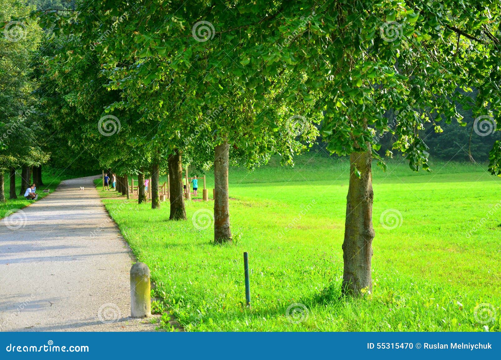 Weg in Einem Park Durch Einen Rasen Stockfoto - Bild von morgen, himmel ...