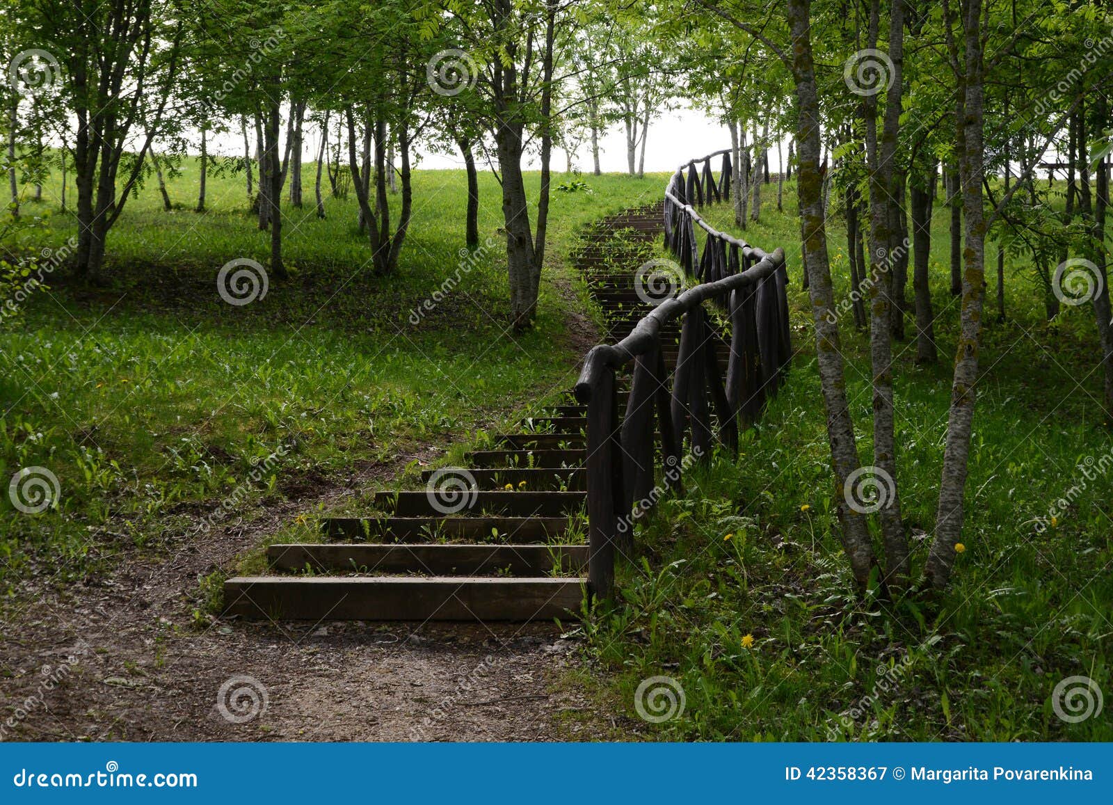 Weg Met Een Houten Trap in Het Bos Stock Afbeelding - Image of buiten ...