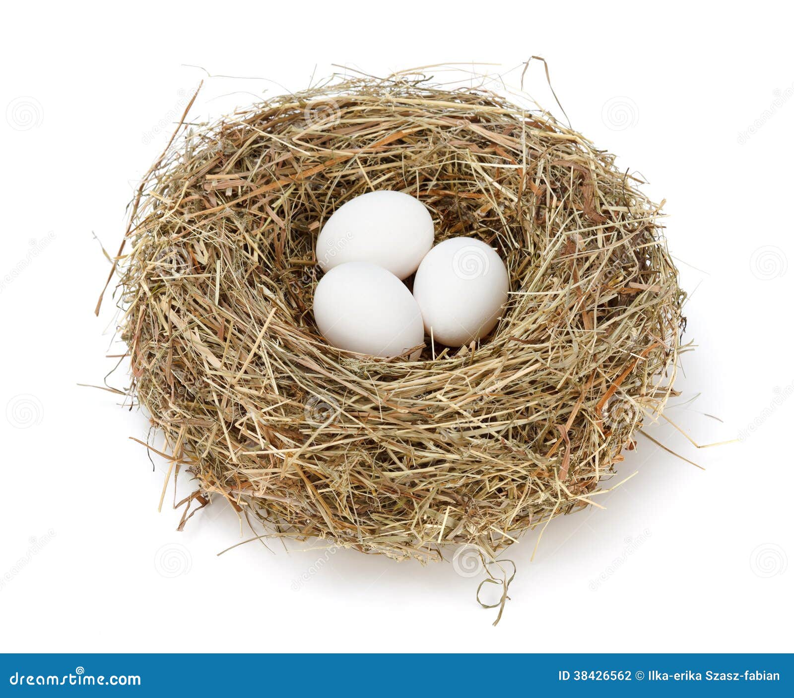 Weiße Eier im Nest stockfoto. Bild von eier, wiederbelebung - 38426562