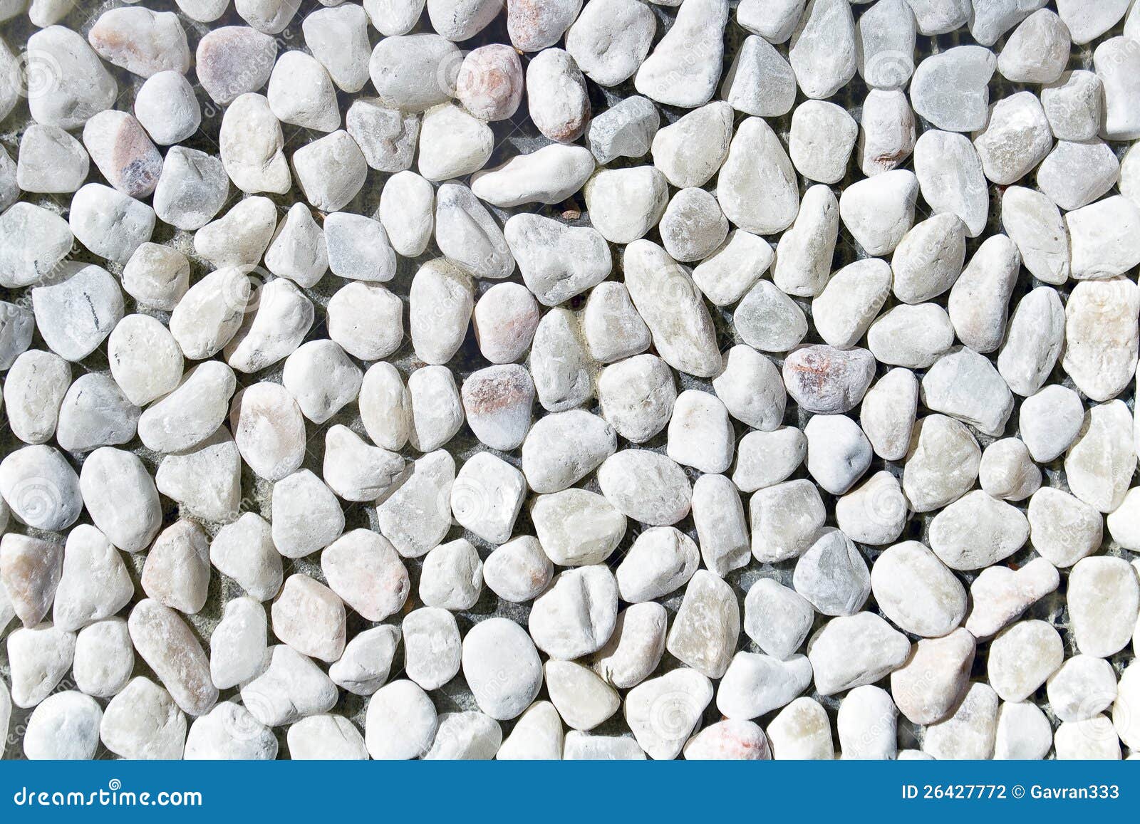 Weiße Kieselsteine Als Hintergrund Stockfoto - Bild von nahaufnahme ...