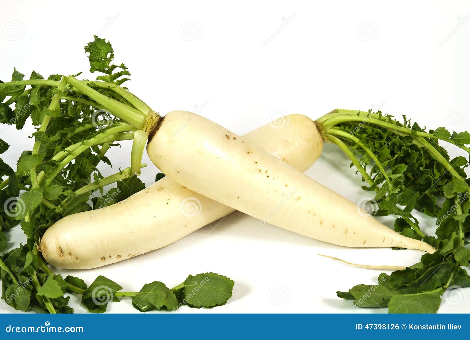 Weiße Rübe stockfoto. Bild von mahlzeit, landwirtschaft - 47398126