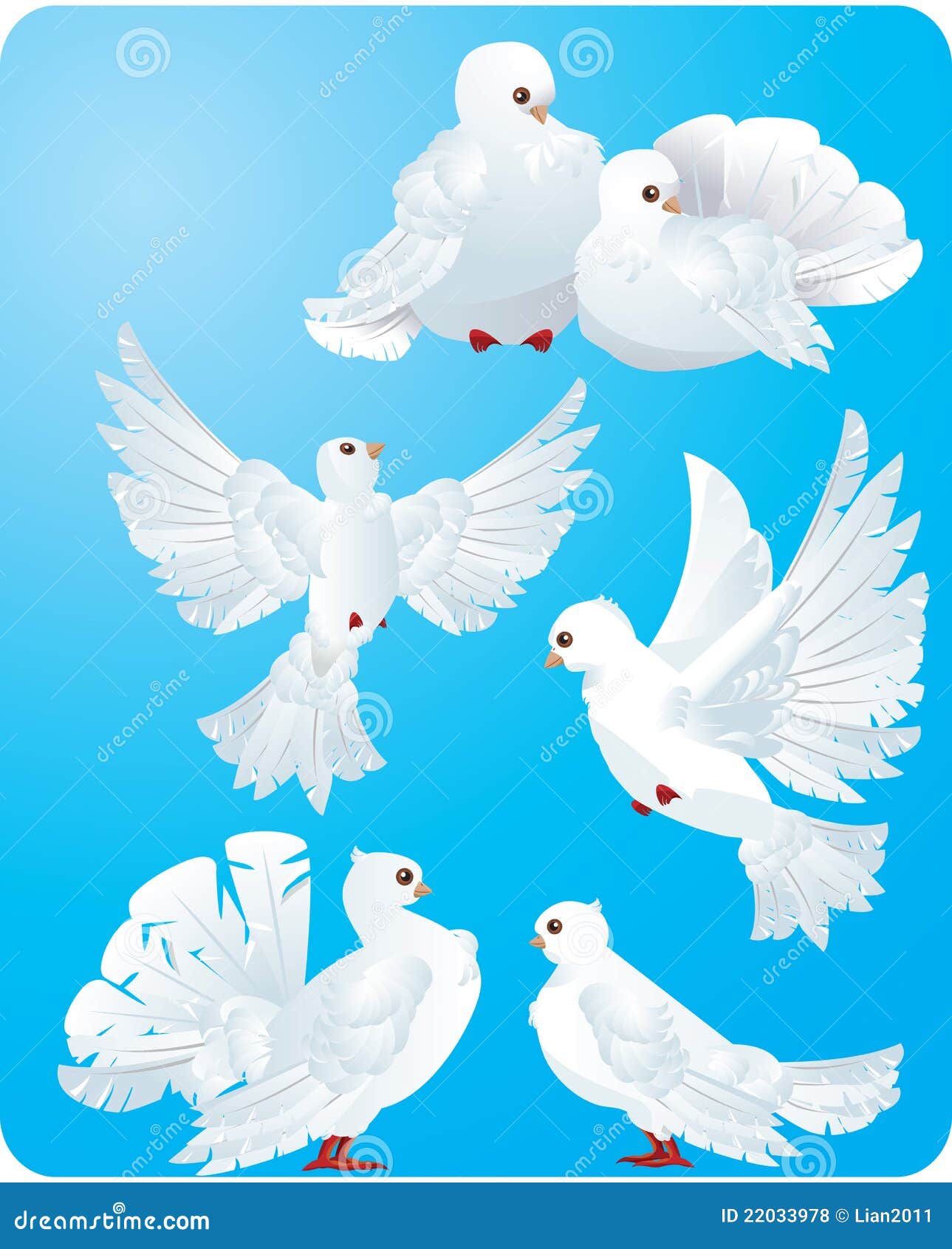 Weiße Tauben vektor abbildung. Illustration von würdevoll - 22033978