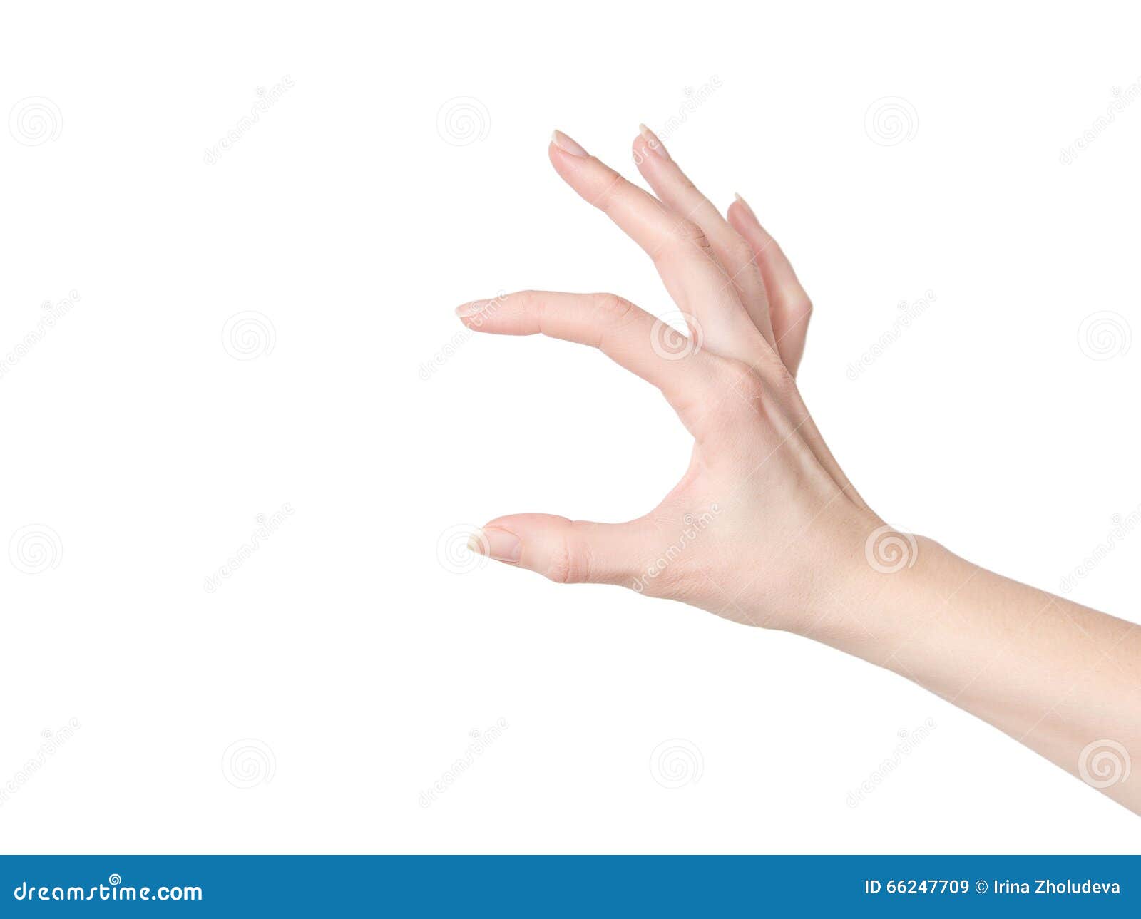 Weibliche Hand, Die Etwas Hält Stockbild - Bild von kaukasisch, finger ...