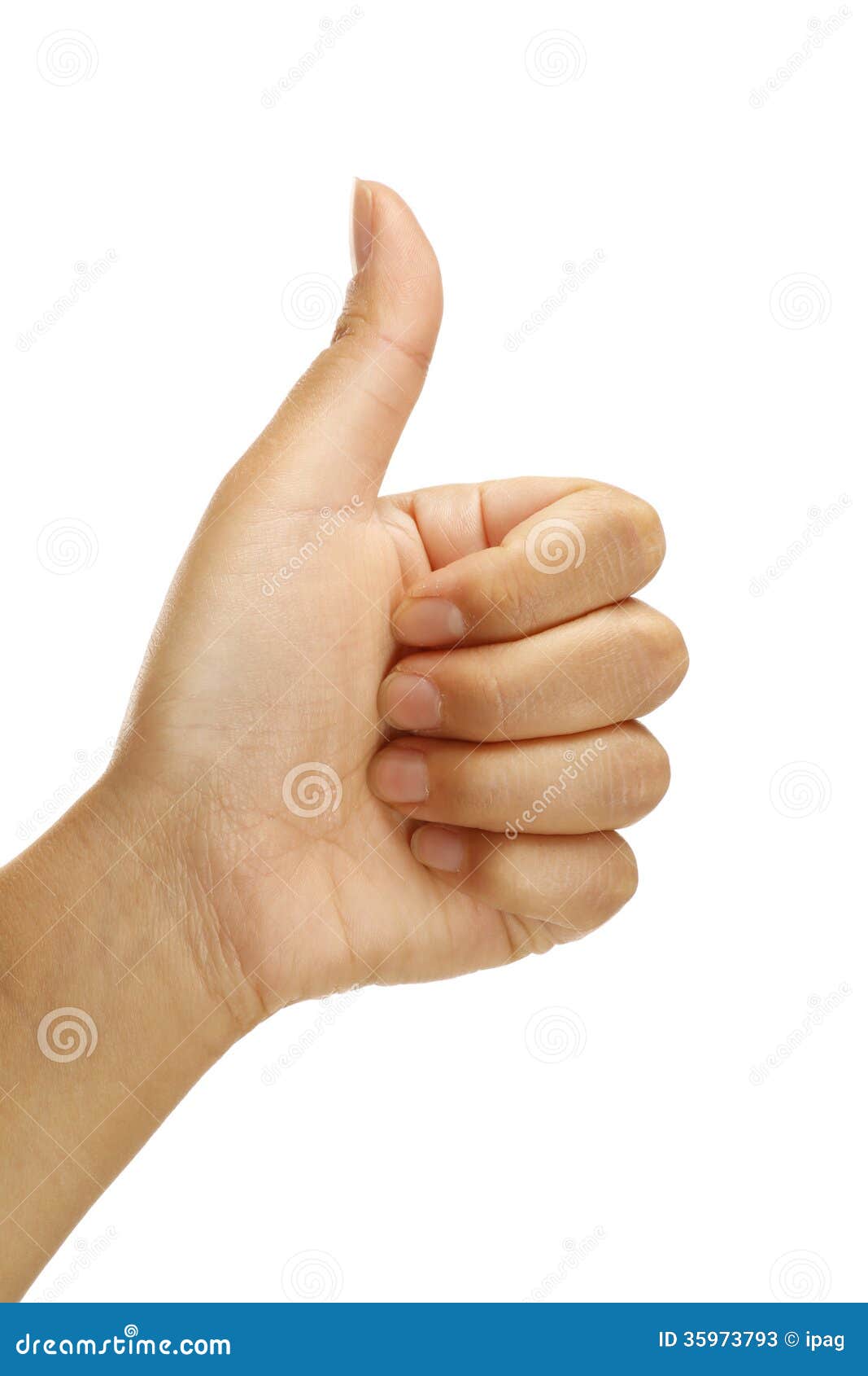 Weibliche Hand Mit Den Daumen Herauf Positive Geste Stockbild - Bild ...