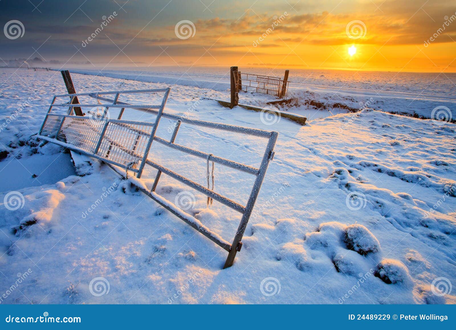 Weide En Omheining in De Winter Stock Afbeelding - Image of troosteloos ...