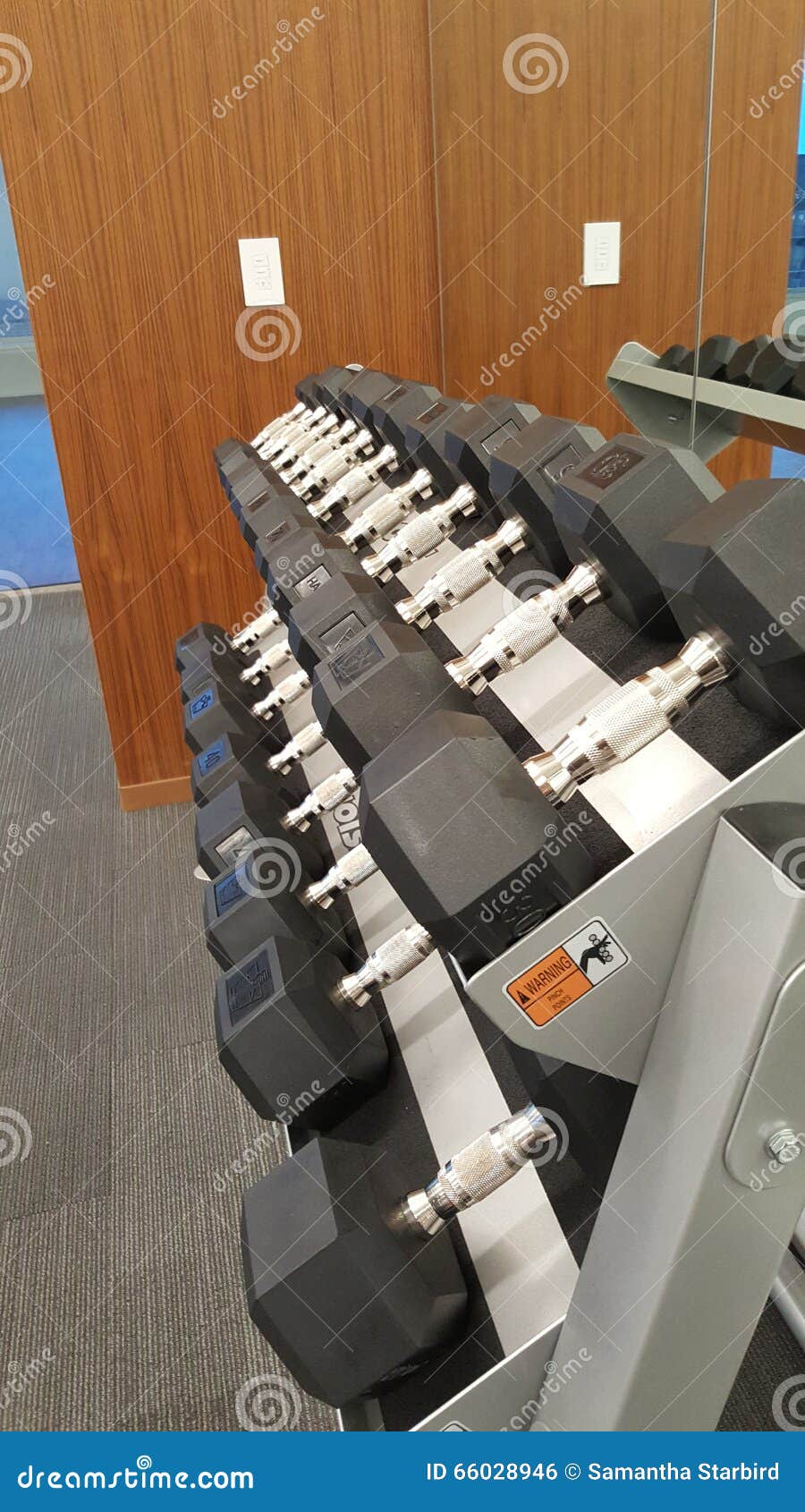 Weight rack stock photo. Image of weight, equipment, weights - 66028946