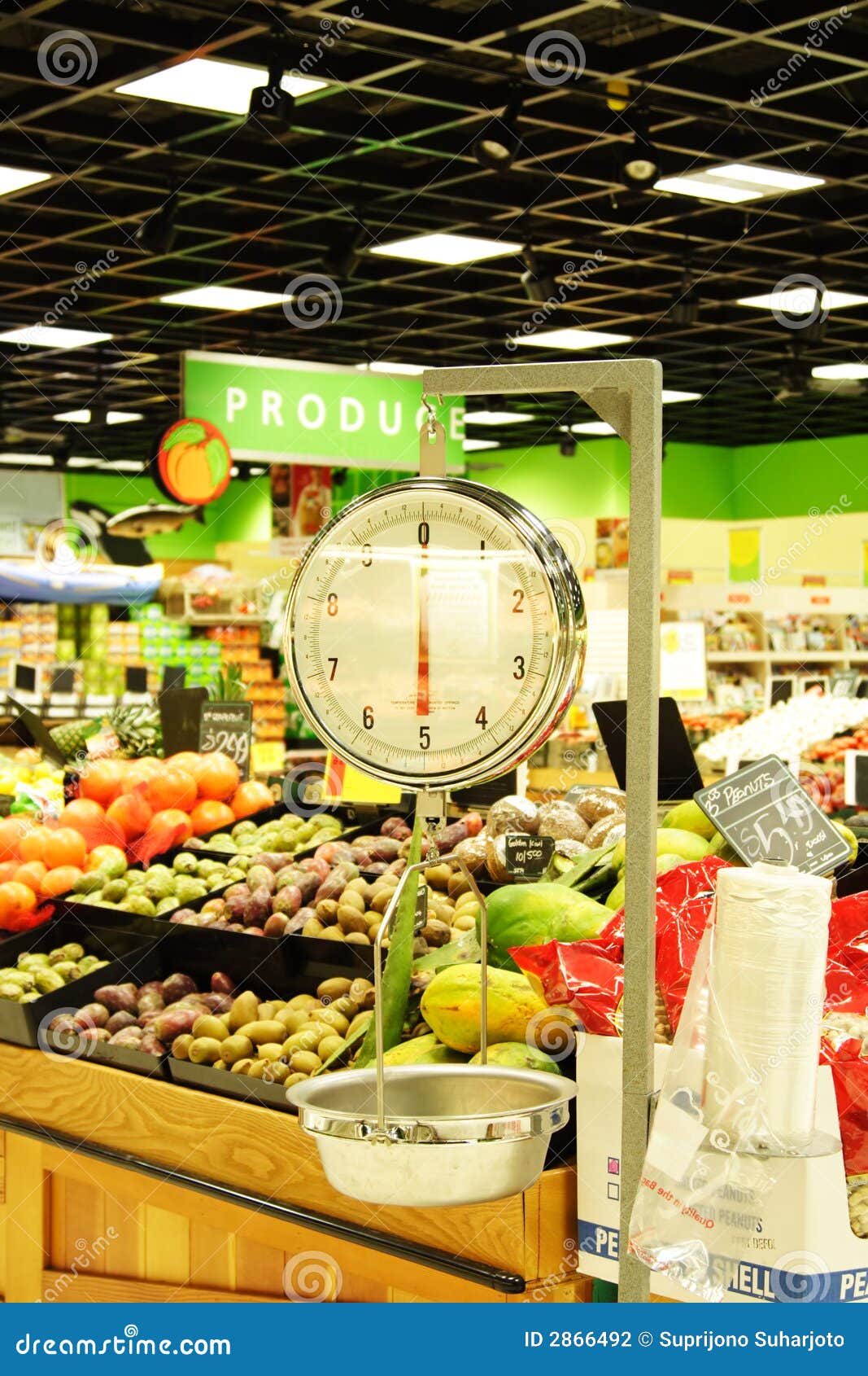 365 Kiwi Scale Stock Photos - Free & Royalty-Free Stock Photos from ...