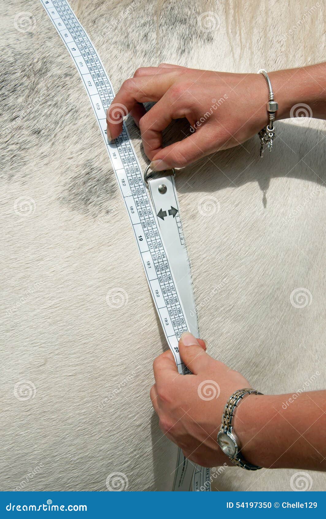 Weight tape stock photo. Image of shropshire, coloured - 54197350