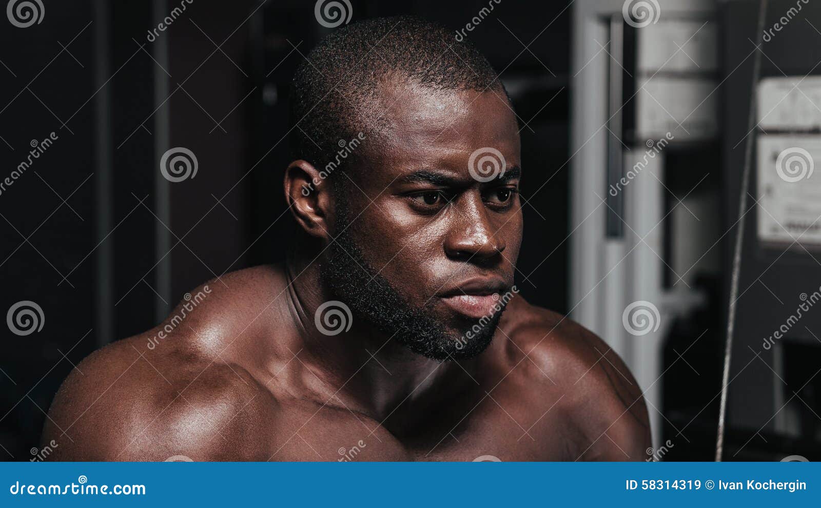 Weight Training African Bodybuilder Portrait Stock Image - Image of ...