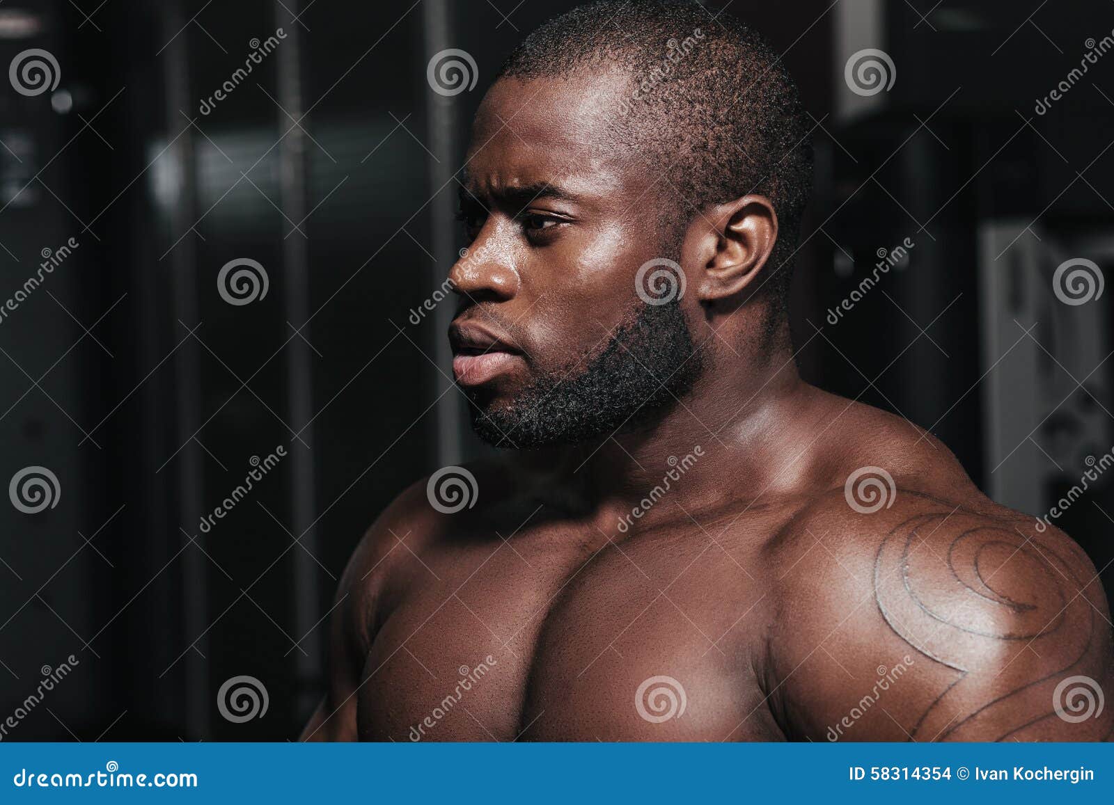 Weight Training African Bodybuilder Portrait Stock Photo - Image of ...