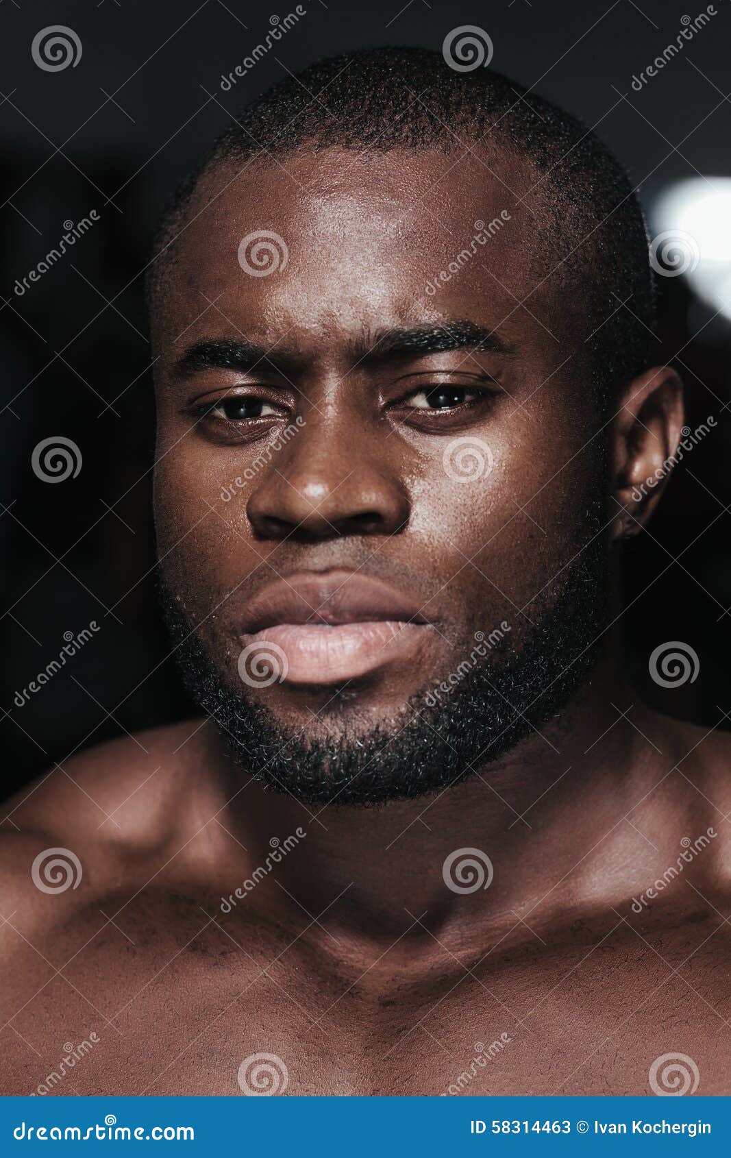 Weight Training African Bodybuilder Portrait Stock Image - Image of ...