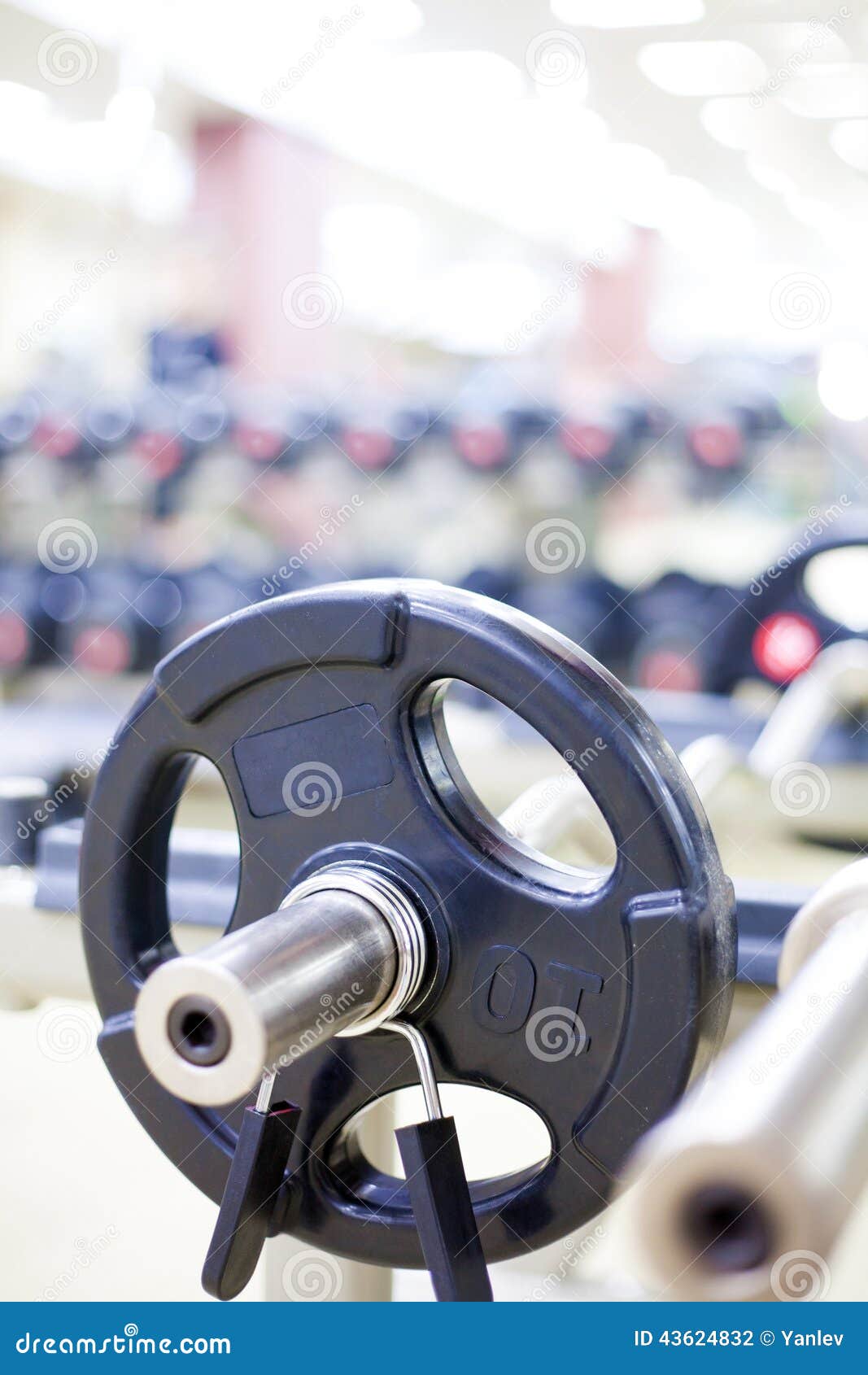 Weight Training Equipment stock photo. Image of beauty - 43624832