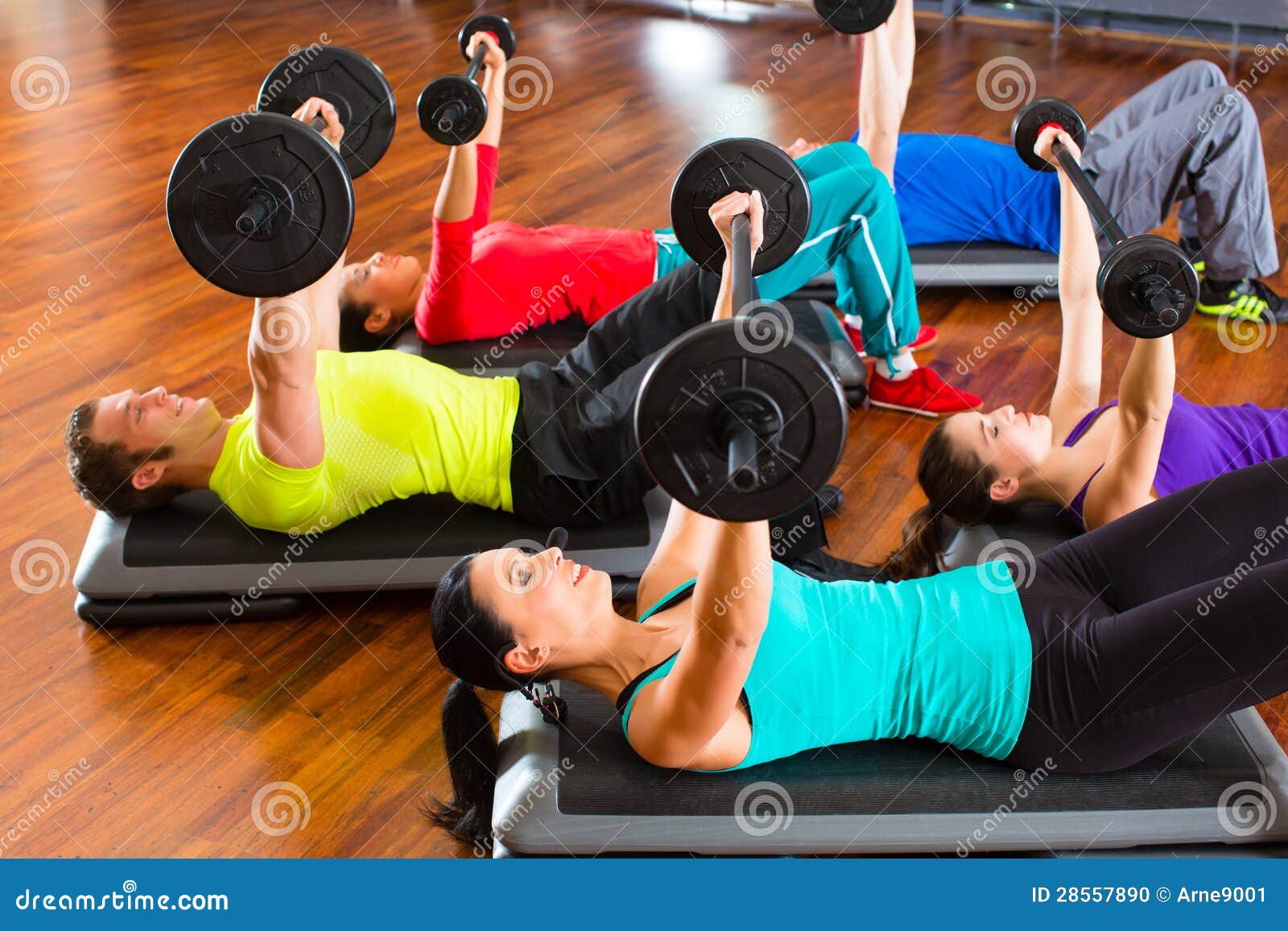 Weight Training in the Gym with Dumbbells Stock Photo - Image of ...